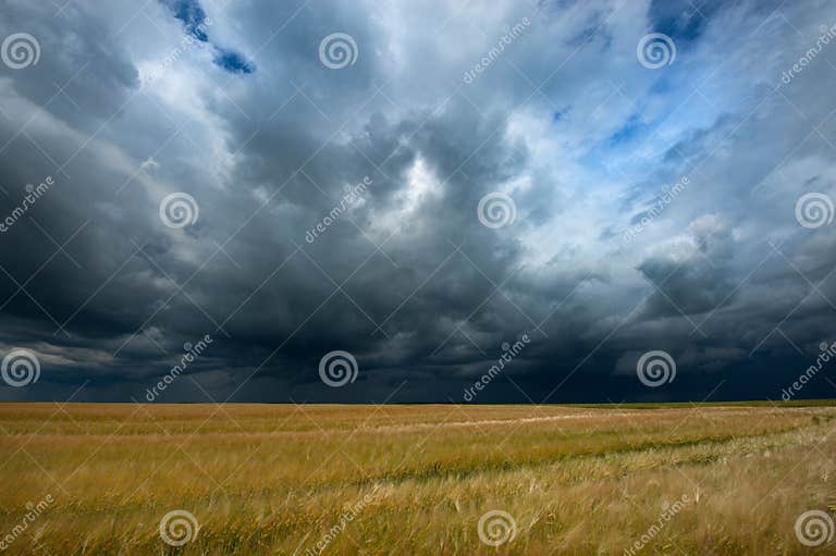 Storm Dark Clouds Over Field Stock Photo - Image of beauty, color: 21541528