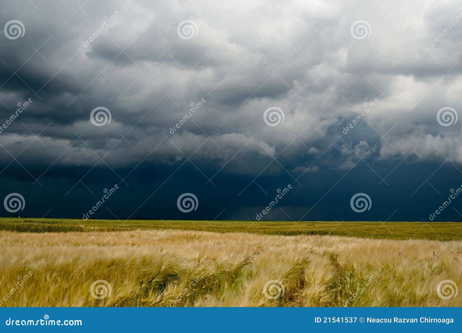 Storm Dark Clouds Over Field Stock Image - Image of landscape, plain ...