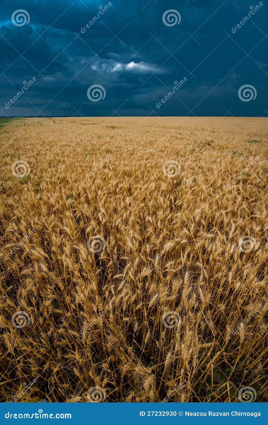 Storm Dark Clouds Over Field Stock Photo - Image of pasture, beauty ...