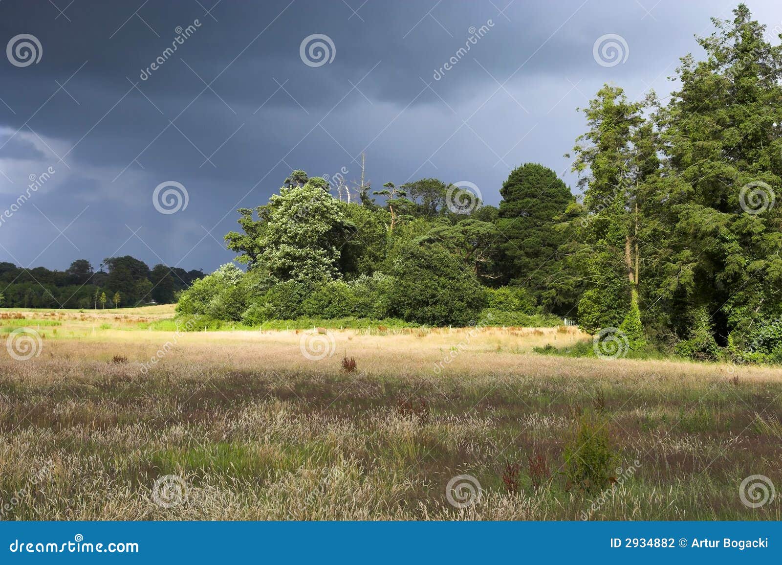 Storm Field stock photo. Image of cloudy, cloud, grass - 2934882