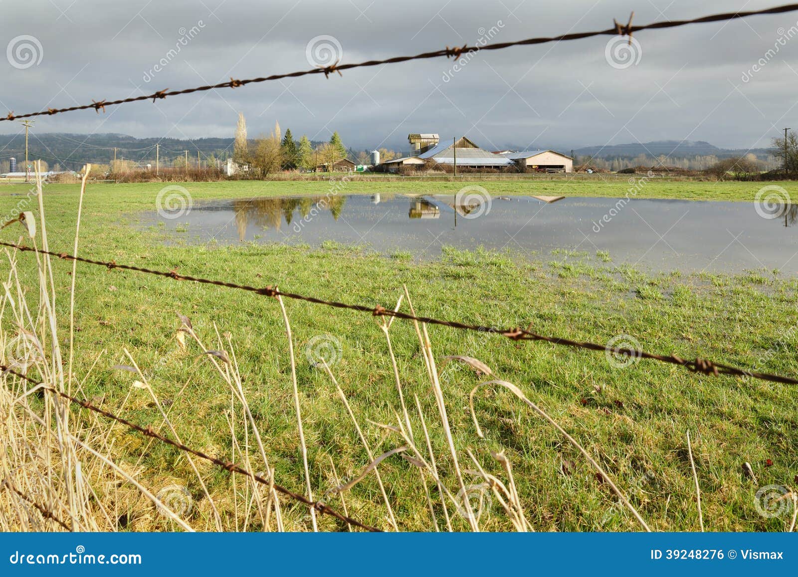 After the Storm, Flooded Farm Stock Photo - Image of agriculture ...