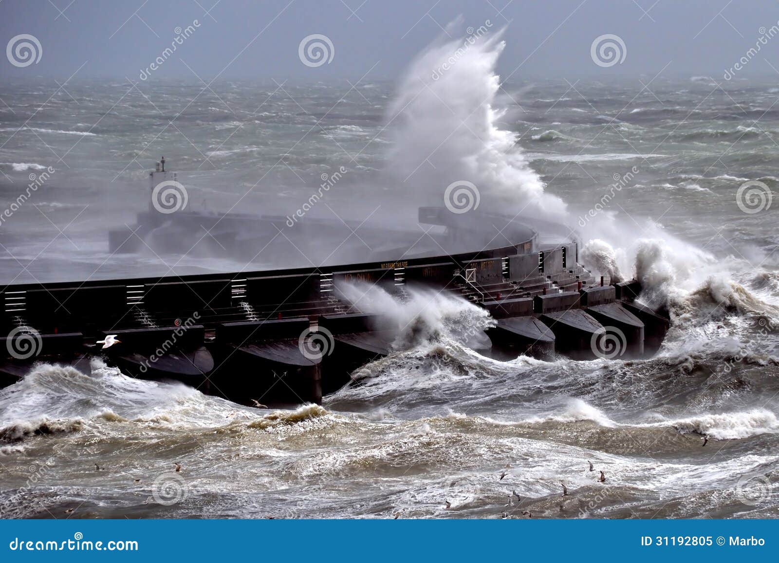 Storm force wind stock image. Image of force, storm, wave - 31192805