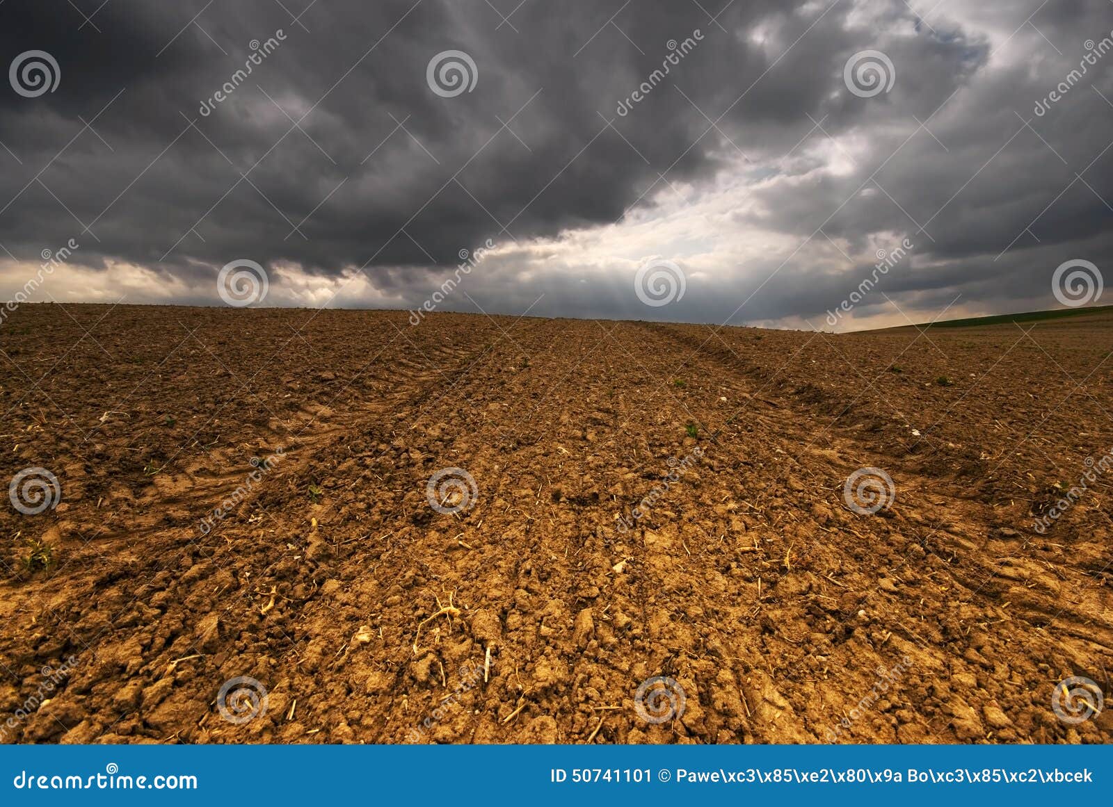 Before the Storm, and Gold Field Stock Image - Image of clouds, heaven ...