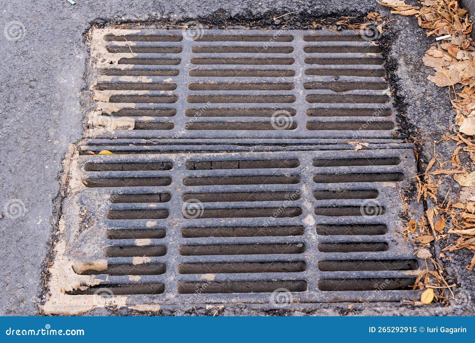 Storm Grate, Drainage. Background with Selective Focus and Copy Space ...