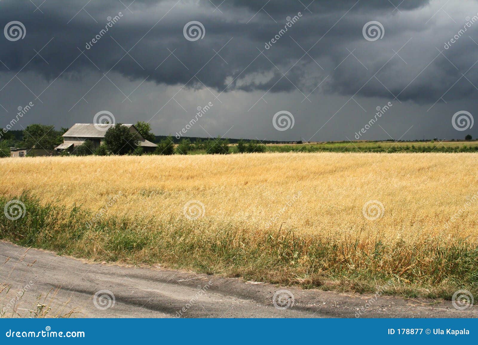 Storm over the field stock image. Image of agriculture - 178877