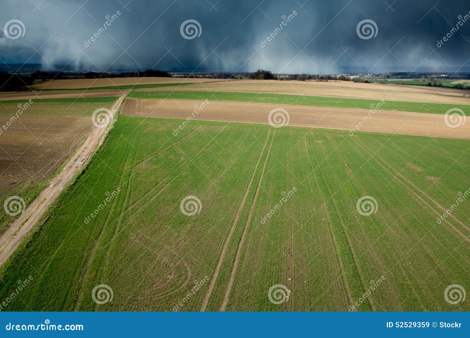 Storm over the field stock image. Image of plant, gray - 52529359