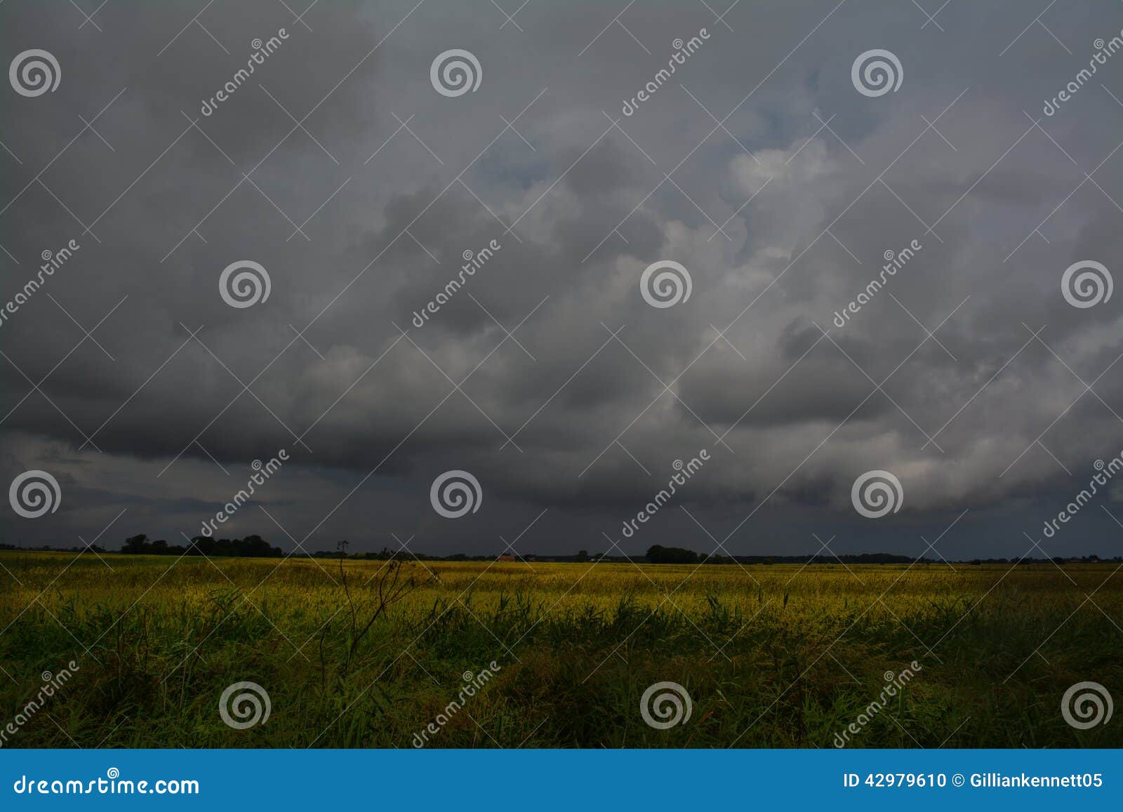 Storm over fields stock photo. Image of farmland, dark - 42979610