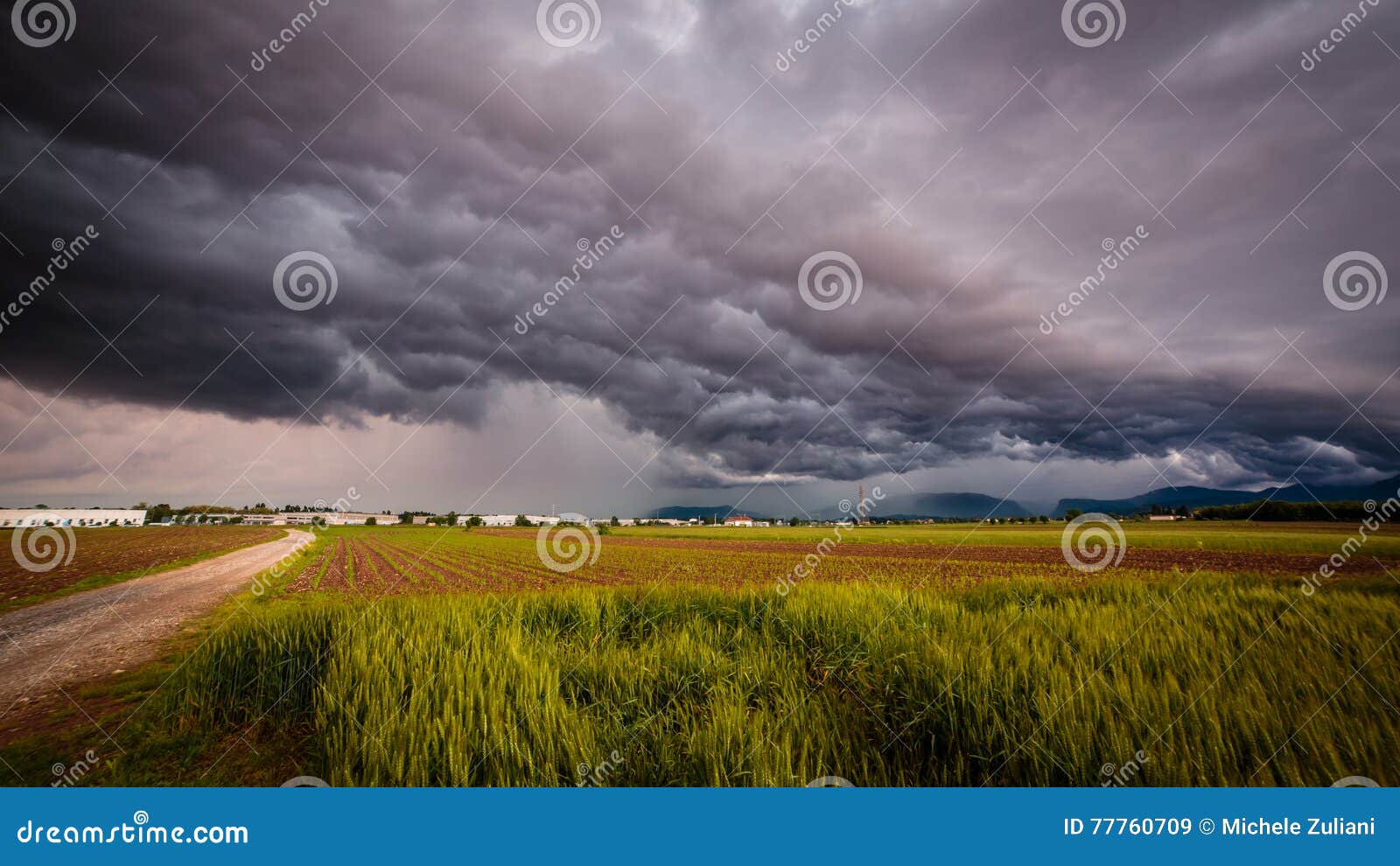 Storm over the fields stock image. Image of friuli, grass - 77760709