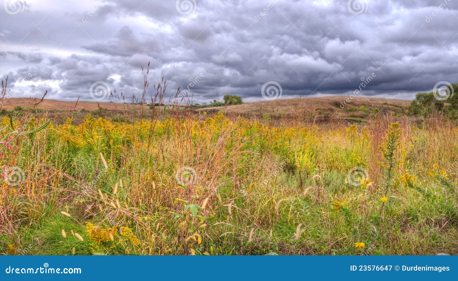 Storm over the Prairies stock image. Image of field, stormclouds - 23576647