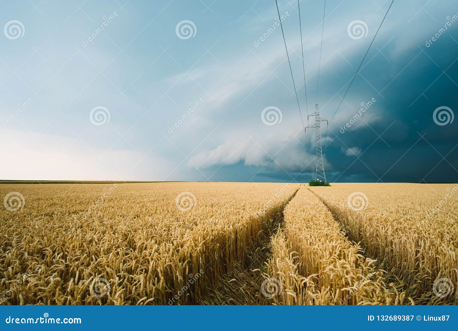 Storm over the wheat field stock image. Image of landscape - 132689387