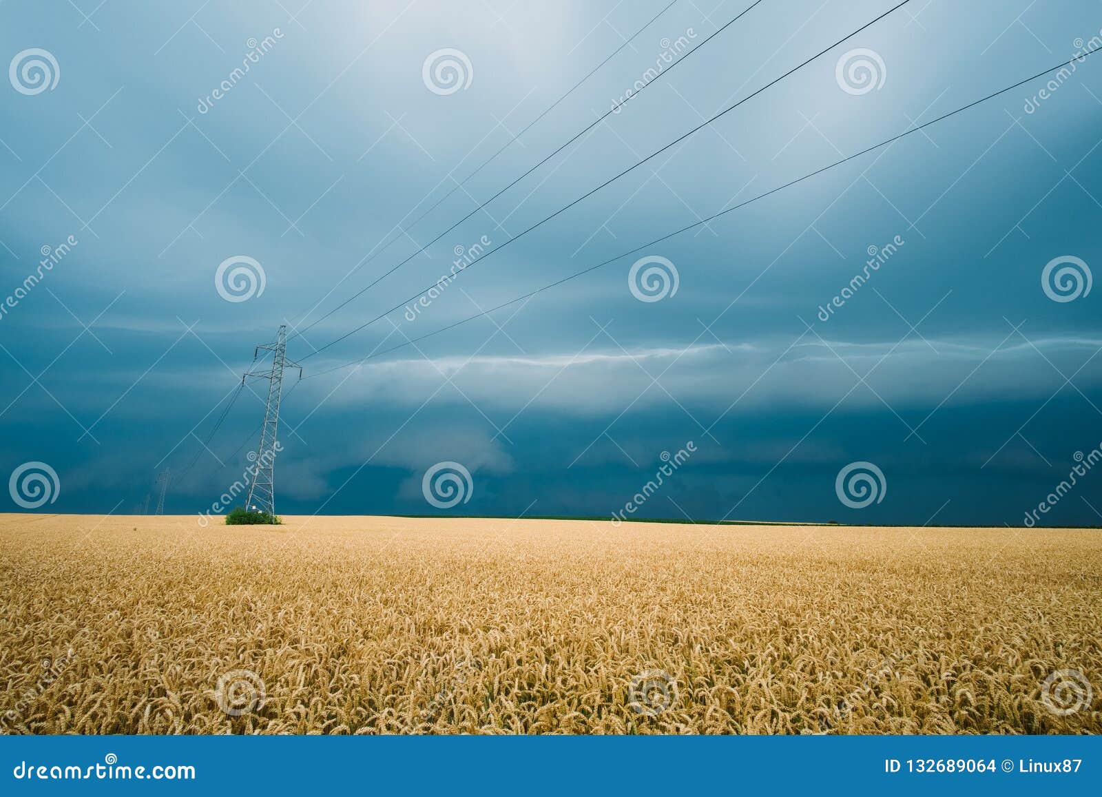 Storm over the wheat field stock photo. Image of meadow - 132689064