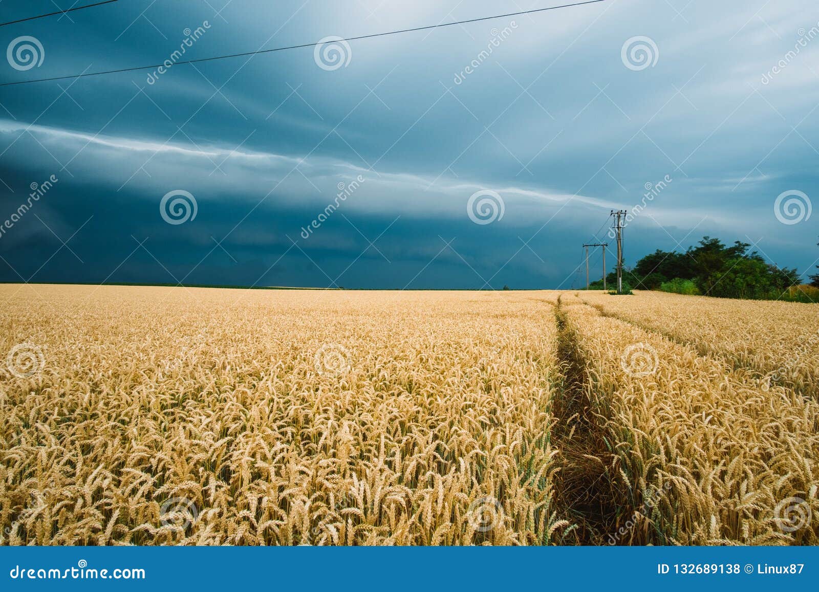 Storm over the wheat field stock photo. Image of storm - 132689138