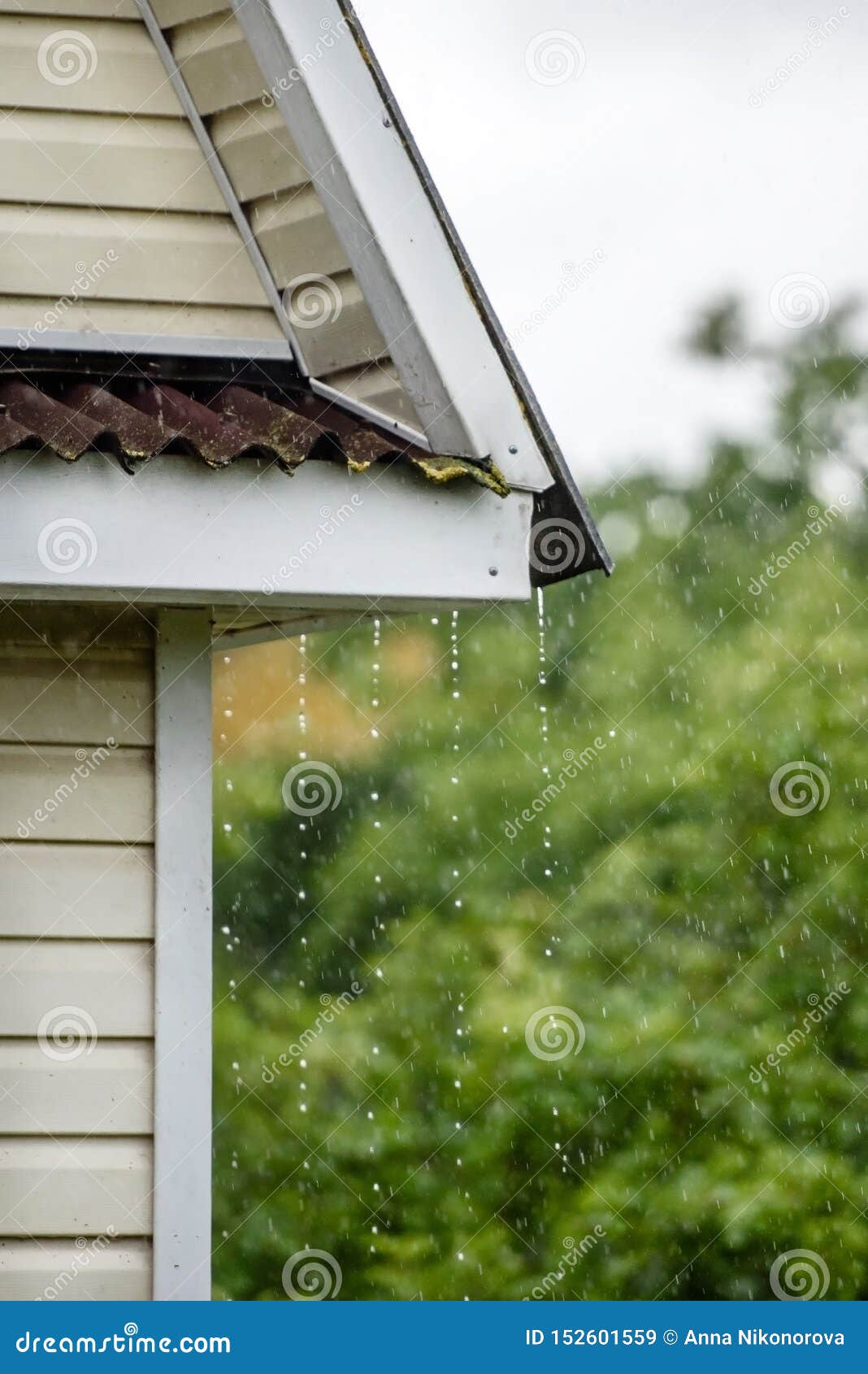 Storm Rain Drips Down from the Roof Stock Image - Image of nature ...