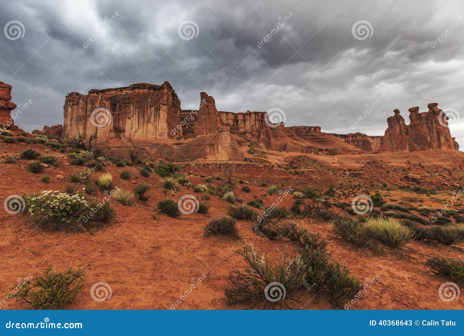 Storm, Rain and Flash Flood in American Desert Stock Image - Image of ...