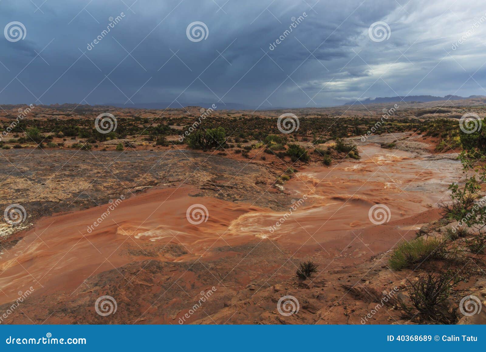 Storm, Rain and Flash Flood in American Desert Stock Image - Image of ...