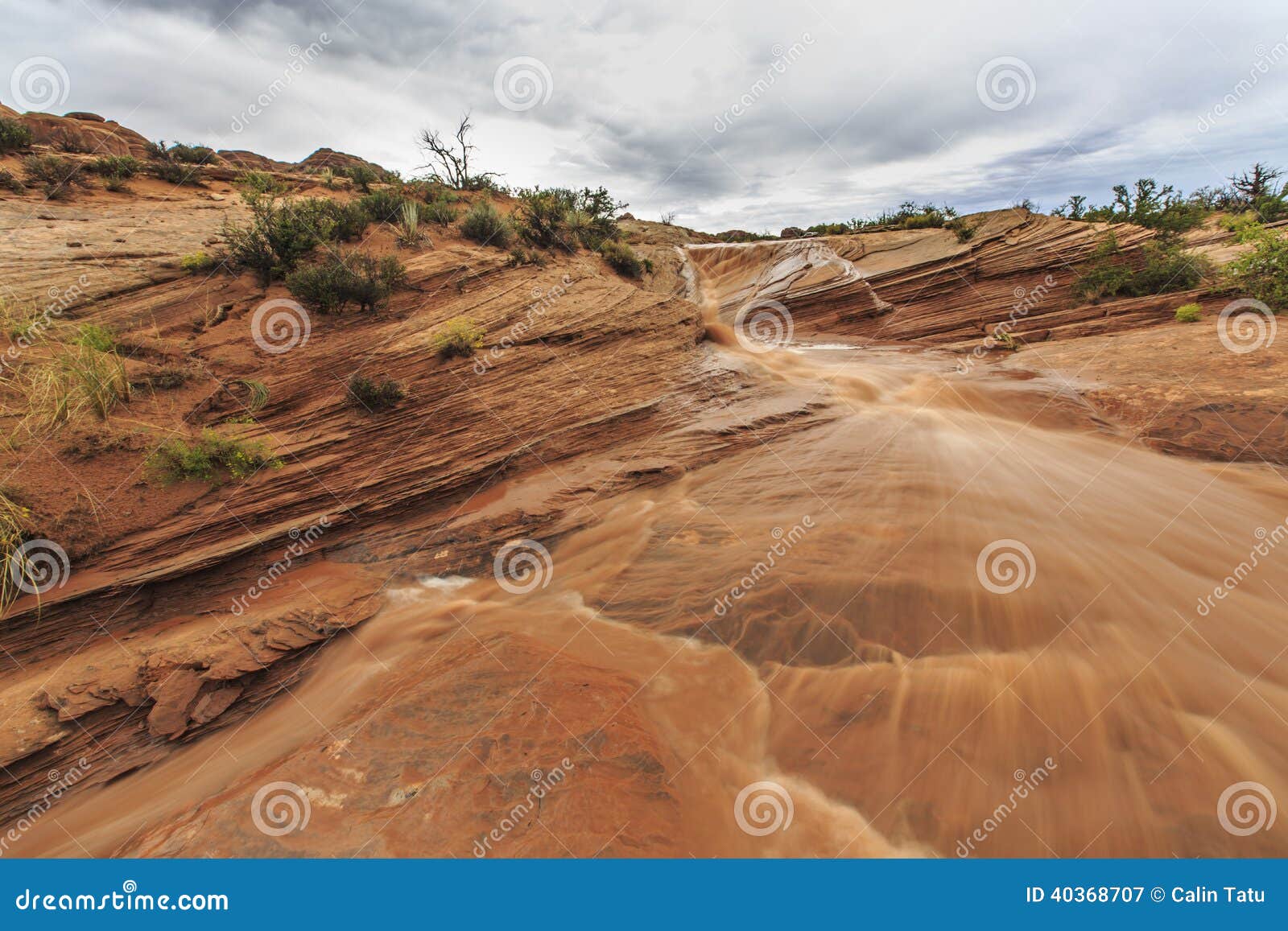 Storm, Rain and Flash Flood in American Desert Stock Image - Image of ...