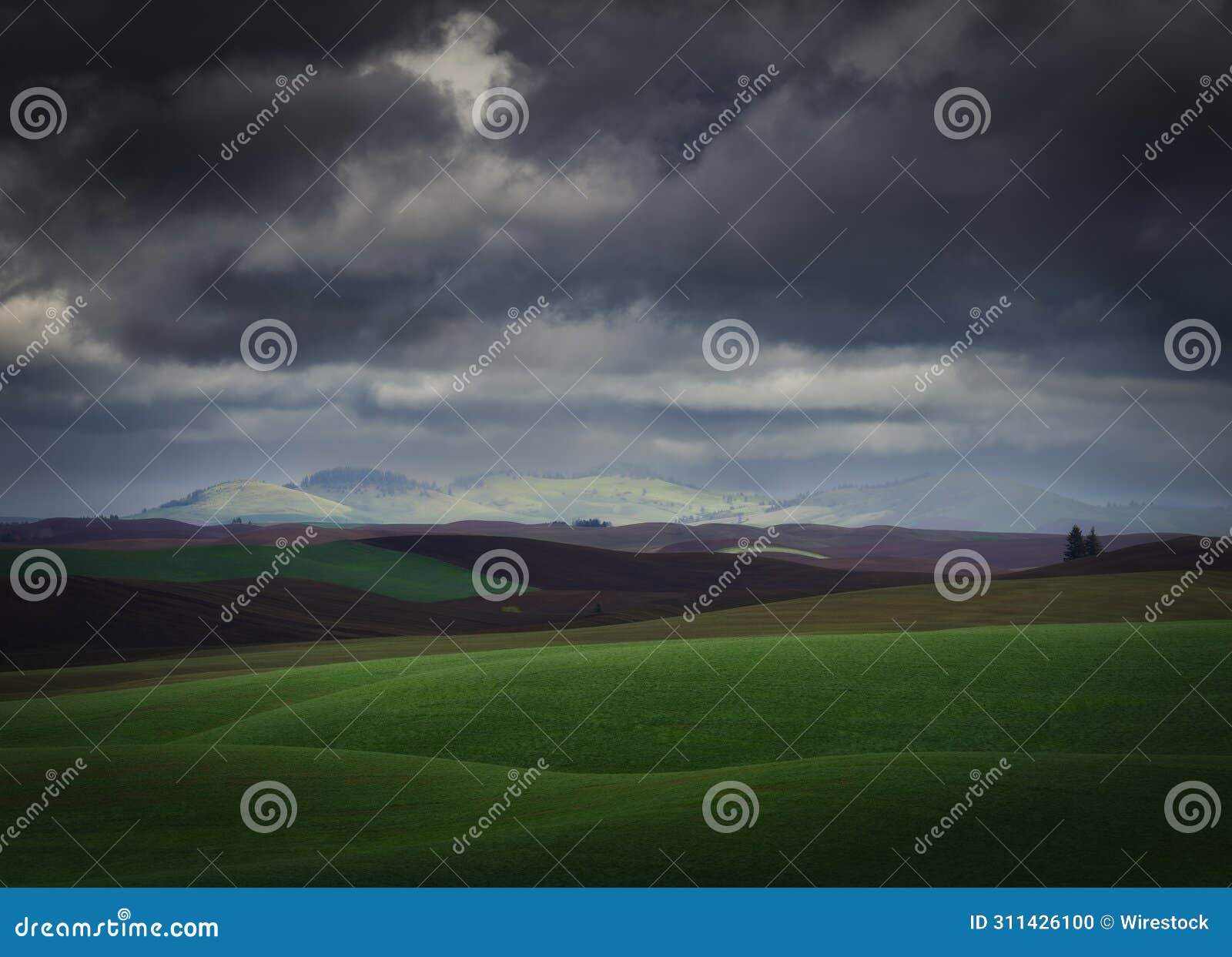Storm Rolling Across the Palouse Fields Stock Photo - Image of grassland, backdrop: 311426100