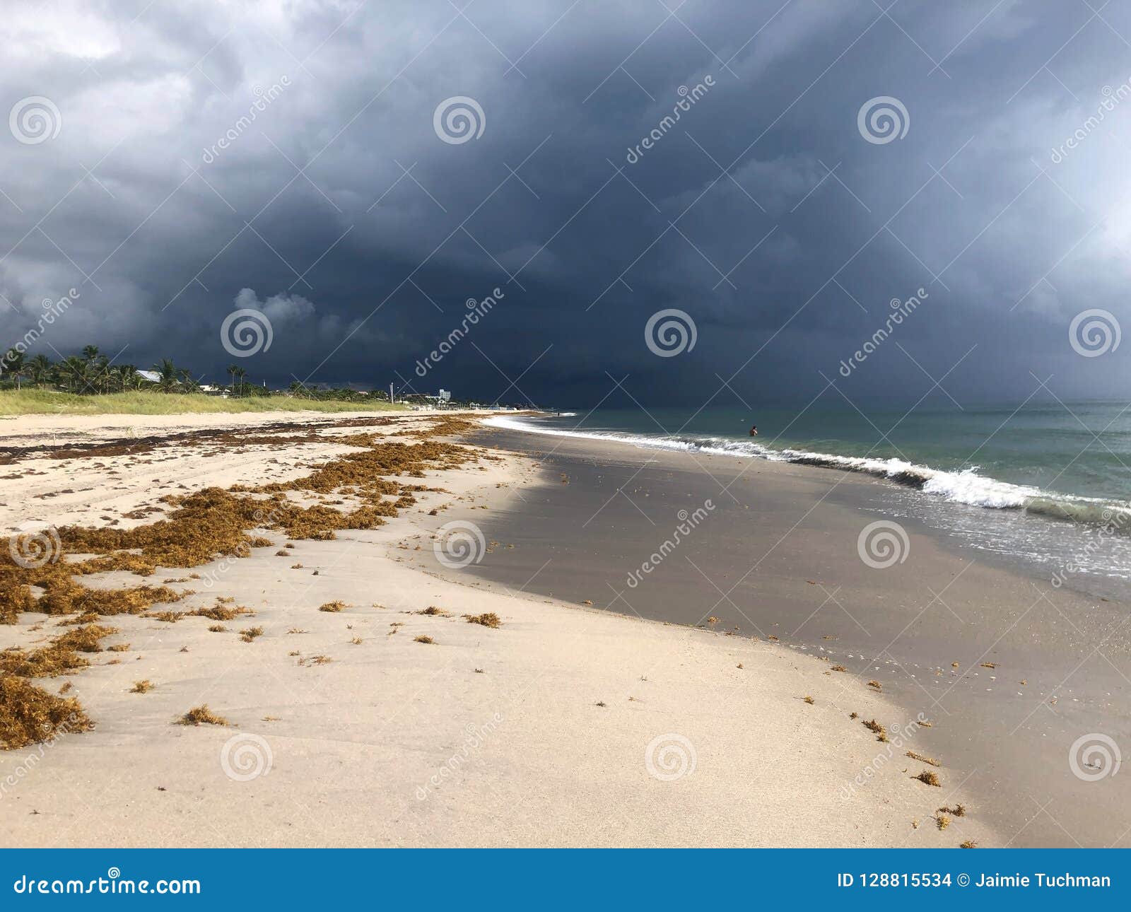 Hurricane Michael Rain on Beach Stock Photo - Image of disaster, beach ...