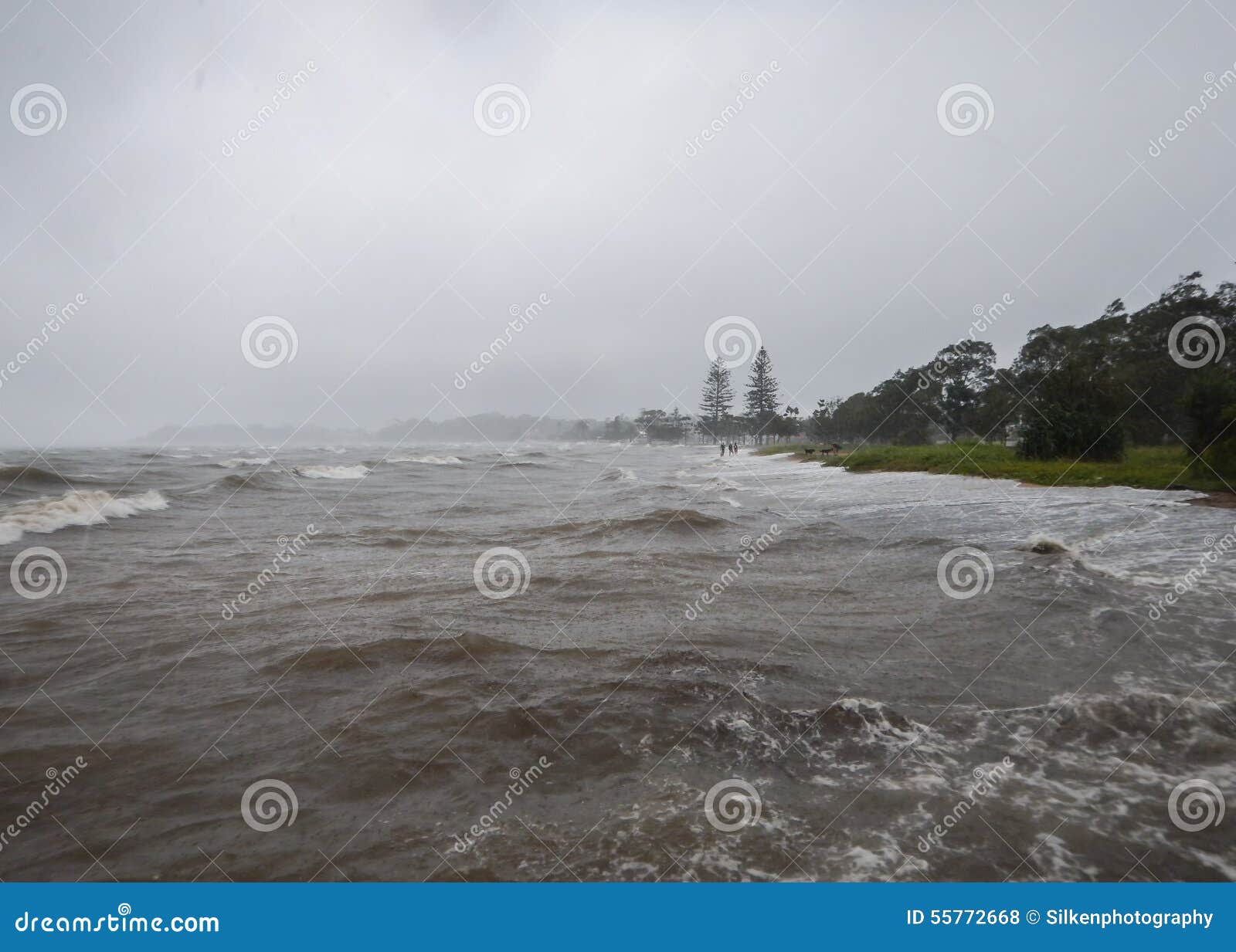 Storm Surge Tide stock photo. Image of coast, nature - 55772668