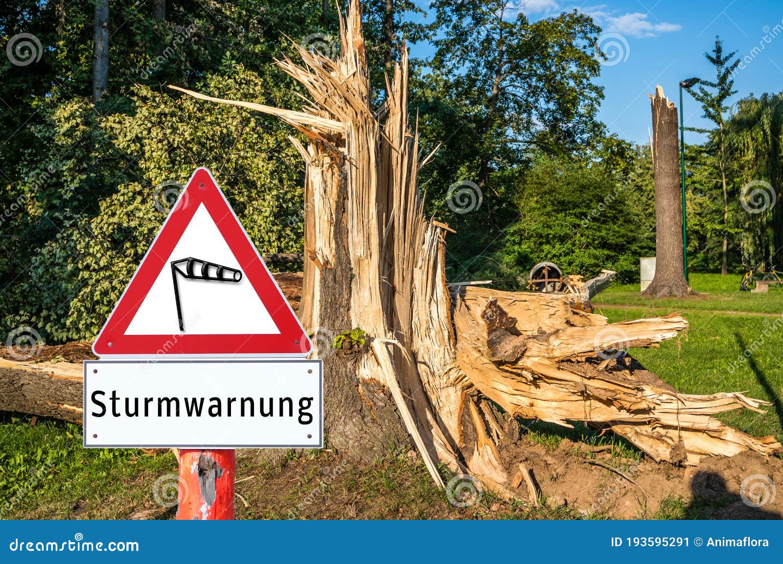 Storm warning sign stock image. Image of road, overturned - 193595291