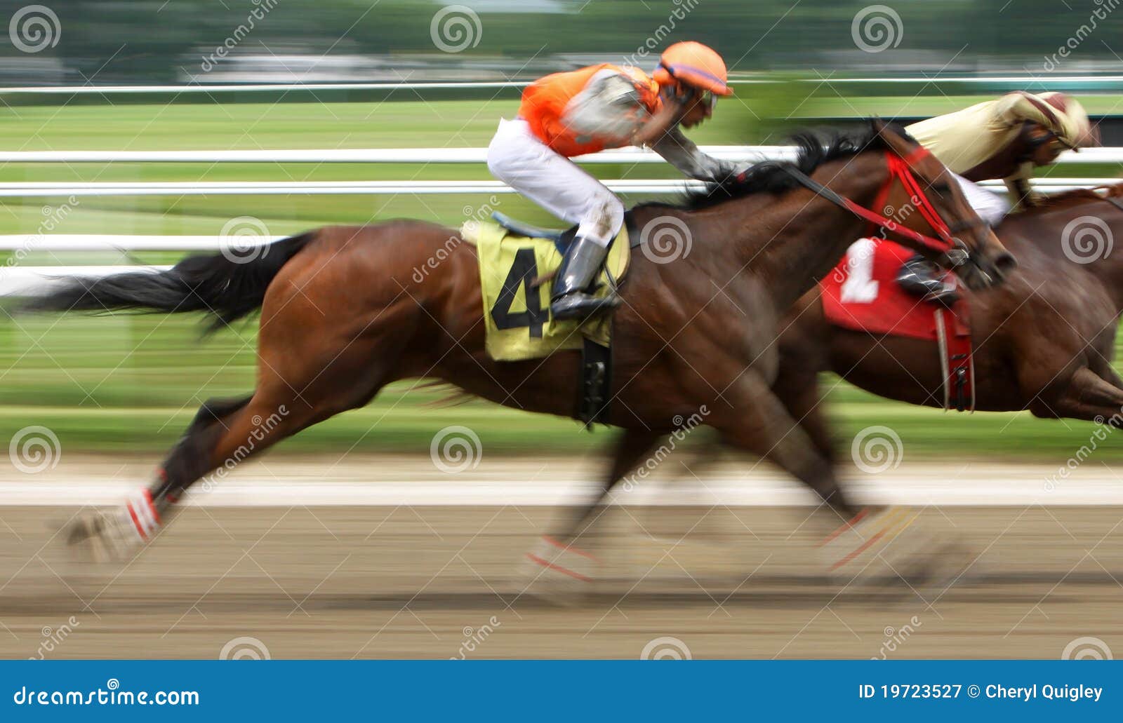 Storming Down the Homestretch Editorial Photography - Image of strength ...