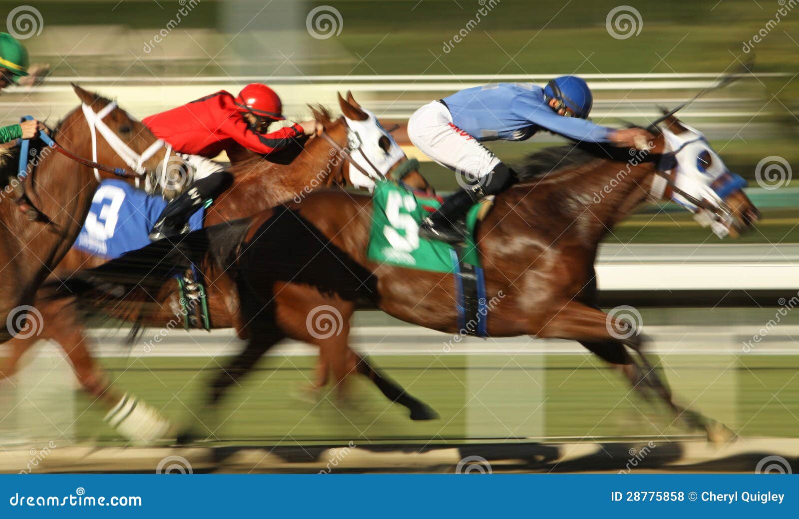 Storming Down the Homestretch Editorial Stock Photo - Image of edwin ...