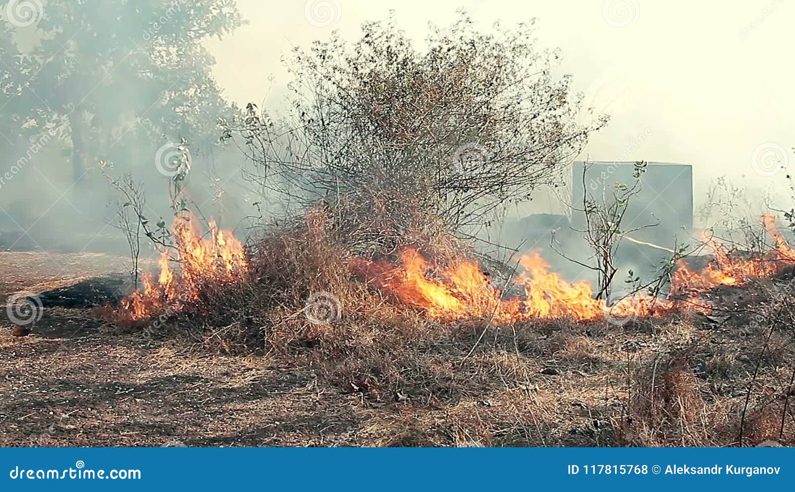Storming and Raging Fire in the Forest Stock Footage - Video of burning ...