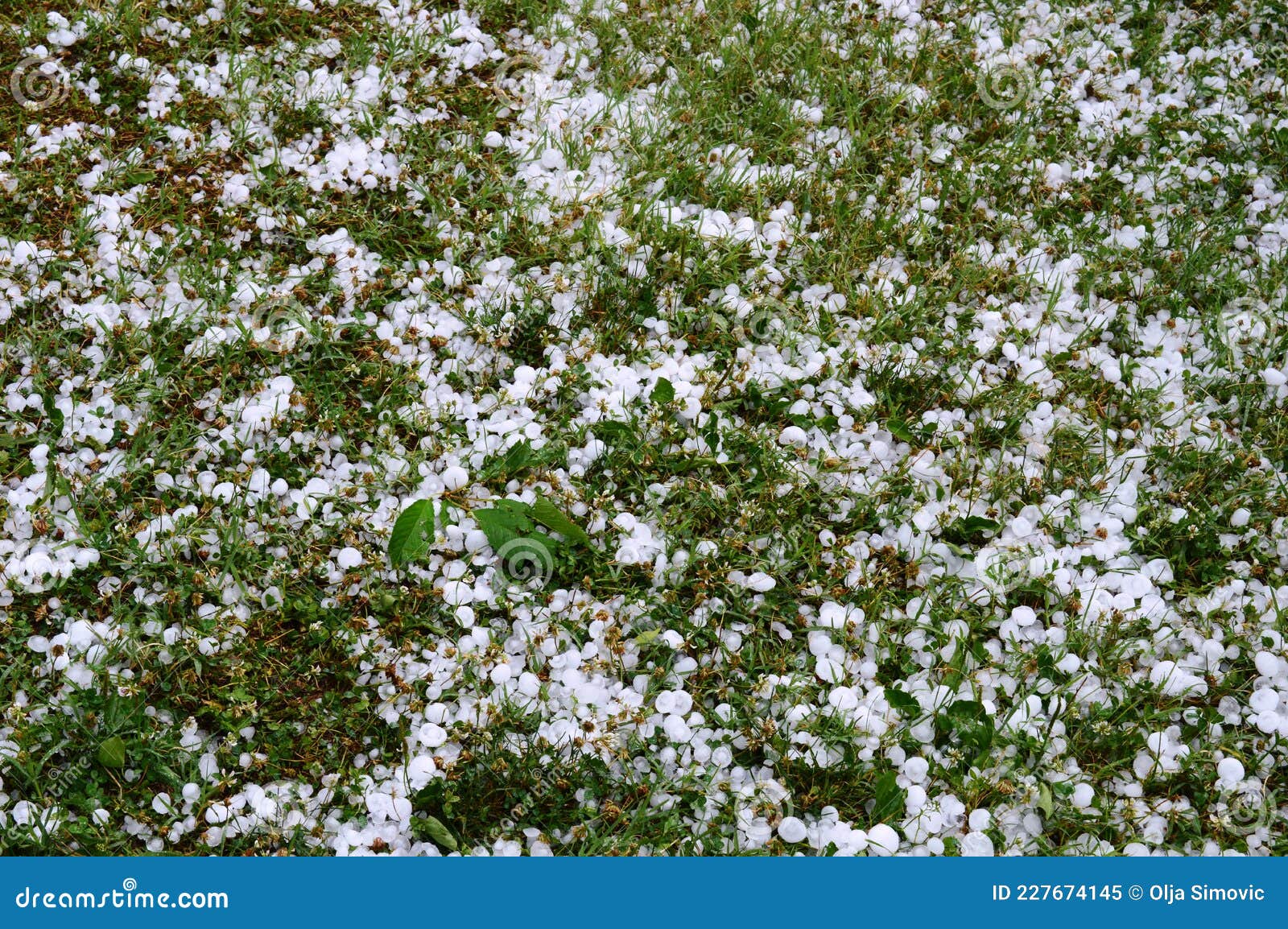 Storms and Hail in the Yard Stock Image - Image of beautiful, landscape ...