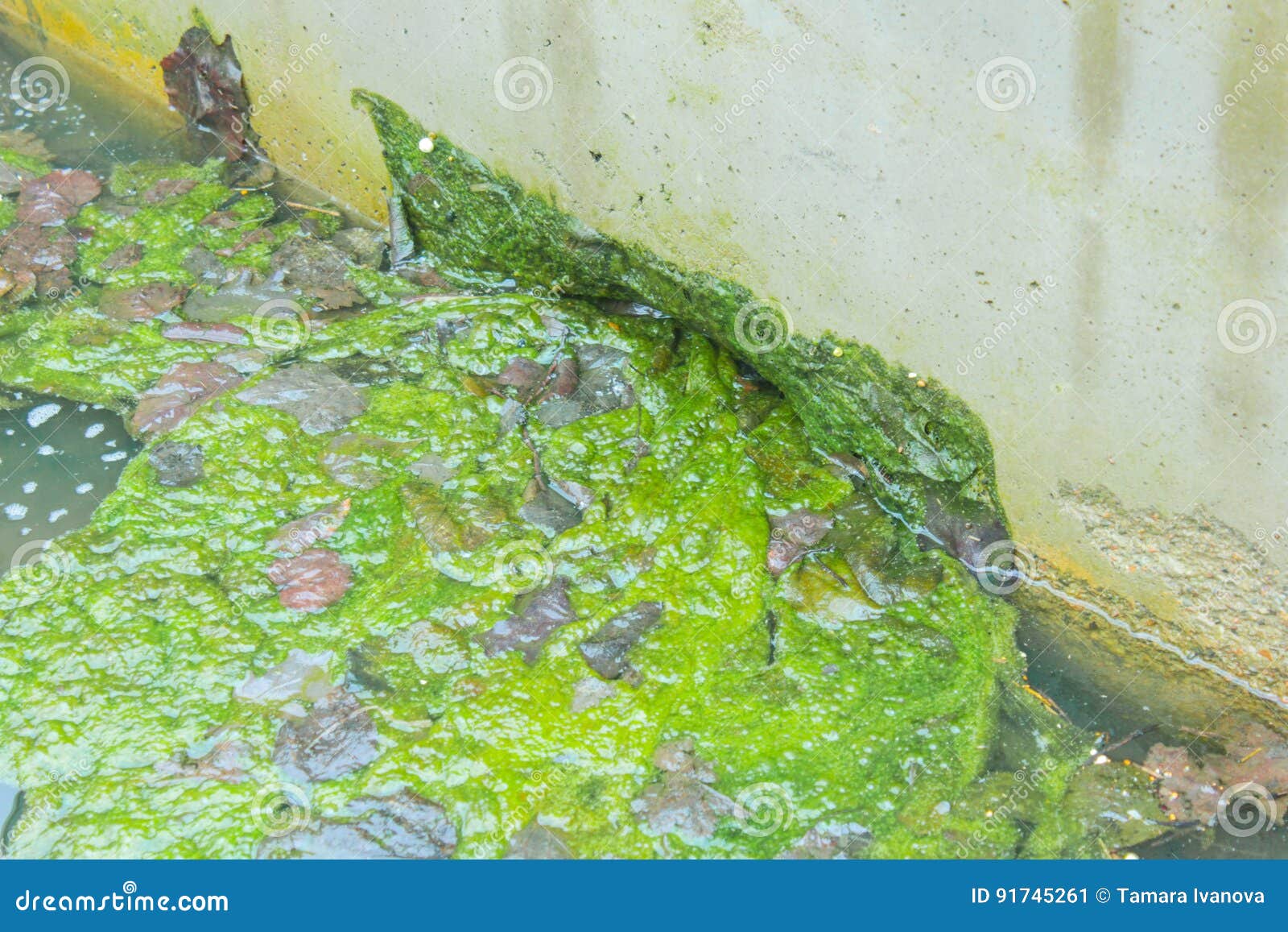 Stormwater Pipe On Facade With Rainwater Drainage Into The Drainage ...