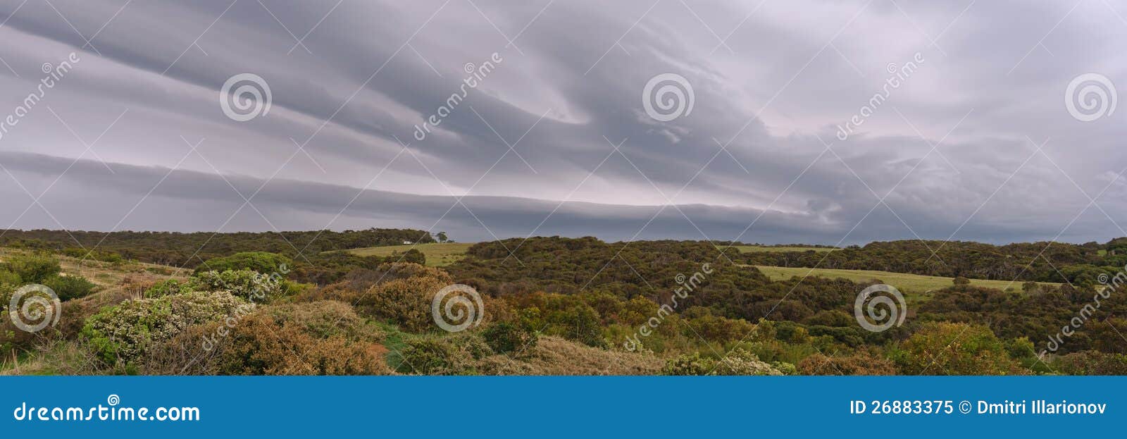Stormy cloud and bush stock image. Image of weather, panorama - 26883375