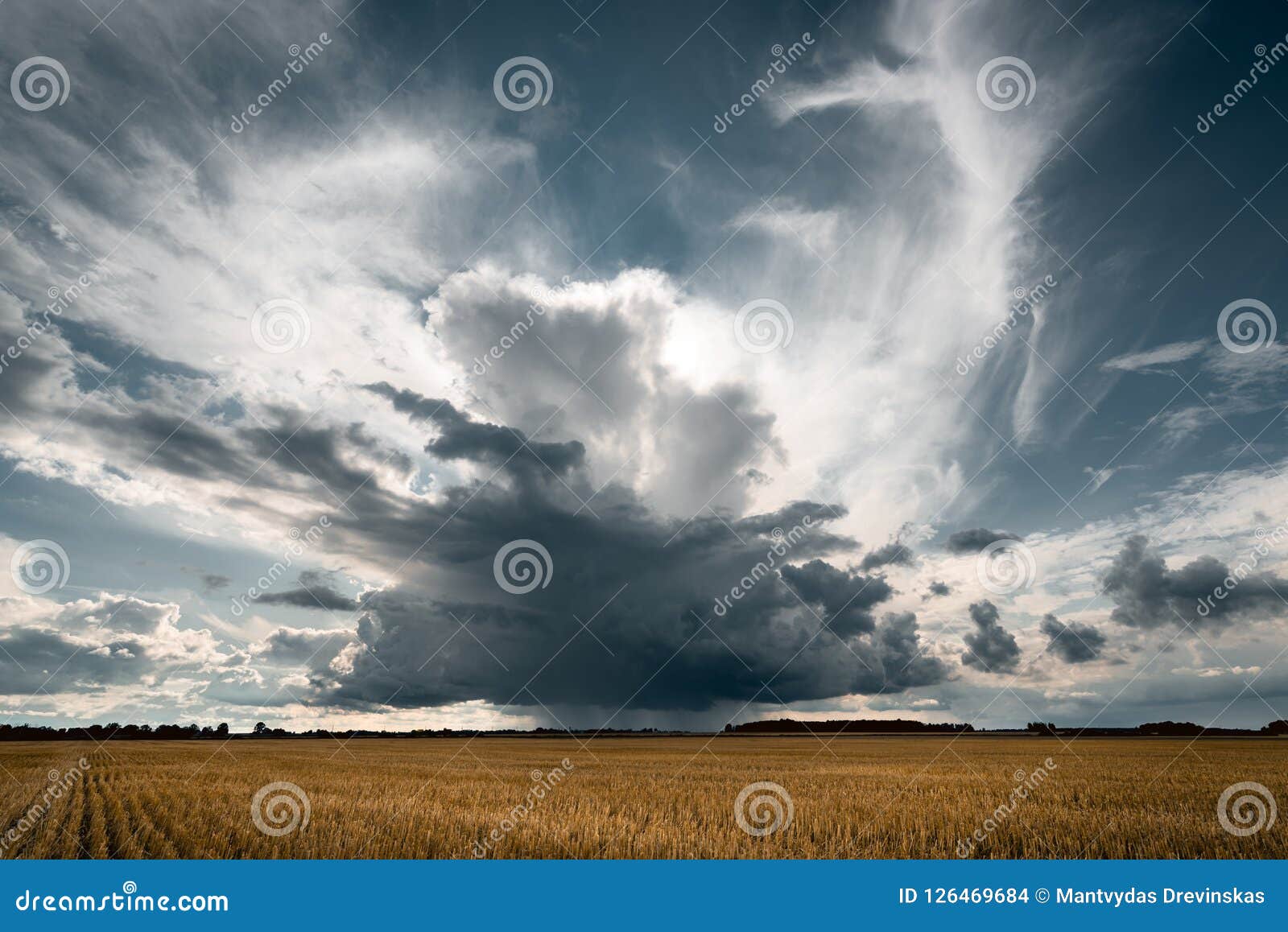 Stormy Clouds in the Golden Fields. Stock Photo - Image of stormy ...