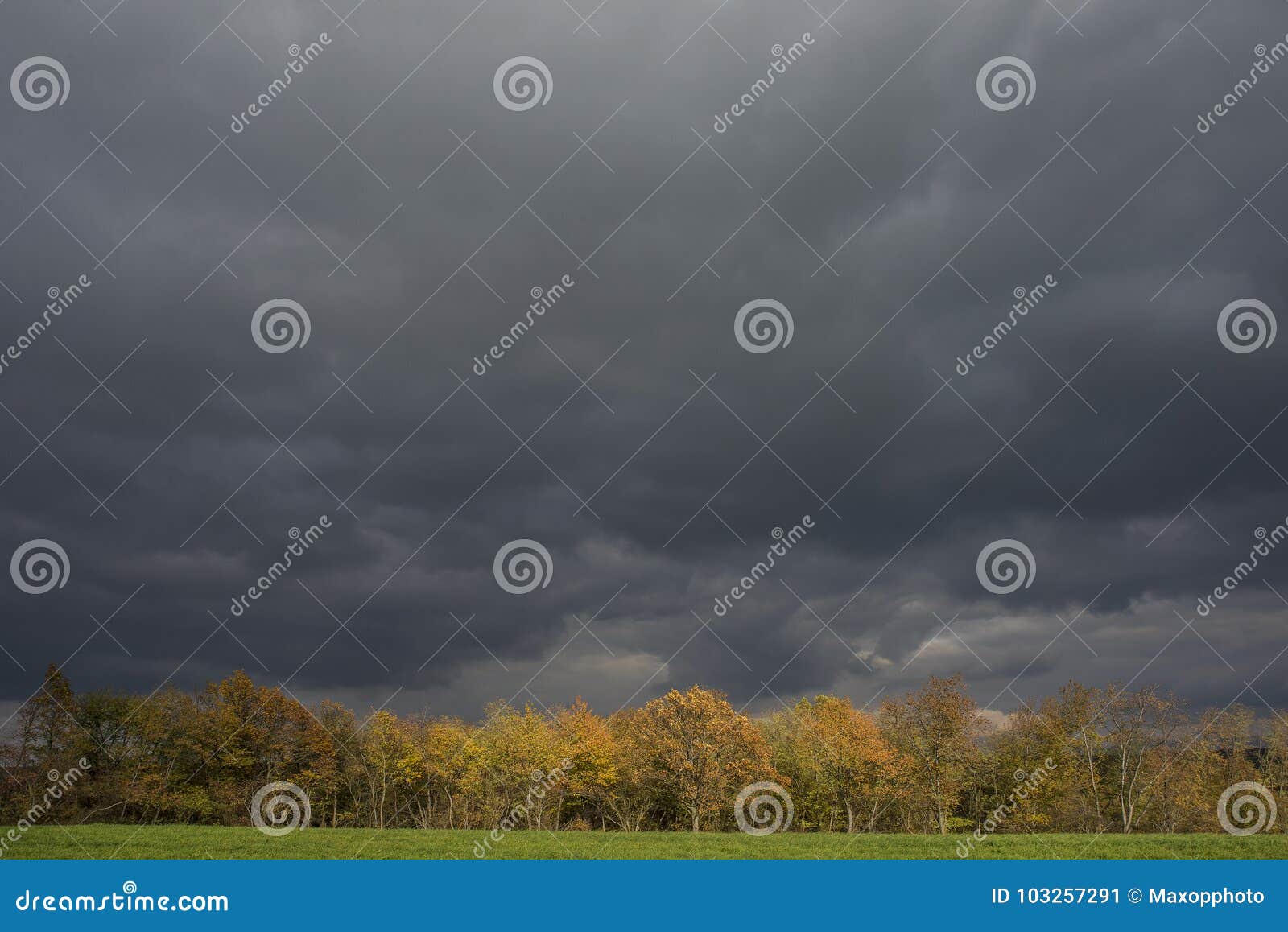 Stormy Dark Clouds Over the Trees and Field. the Fall Scene. Stock ...