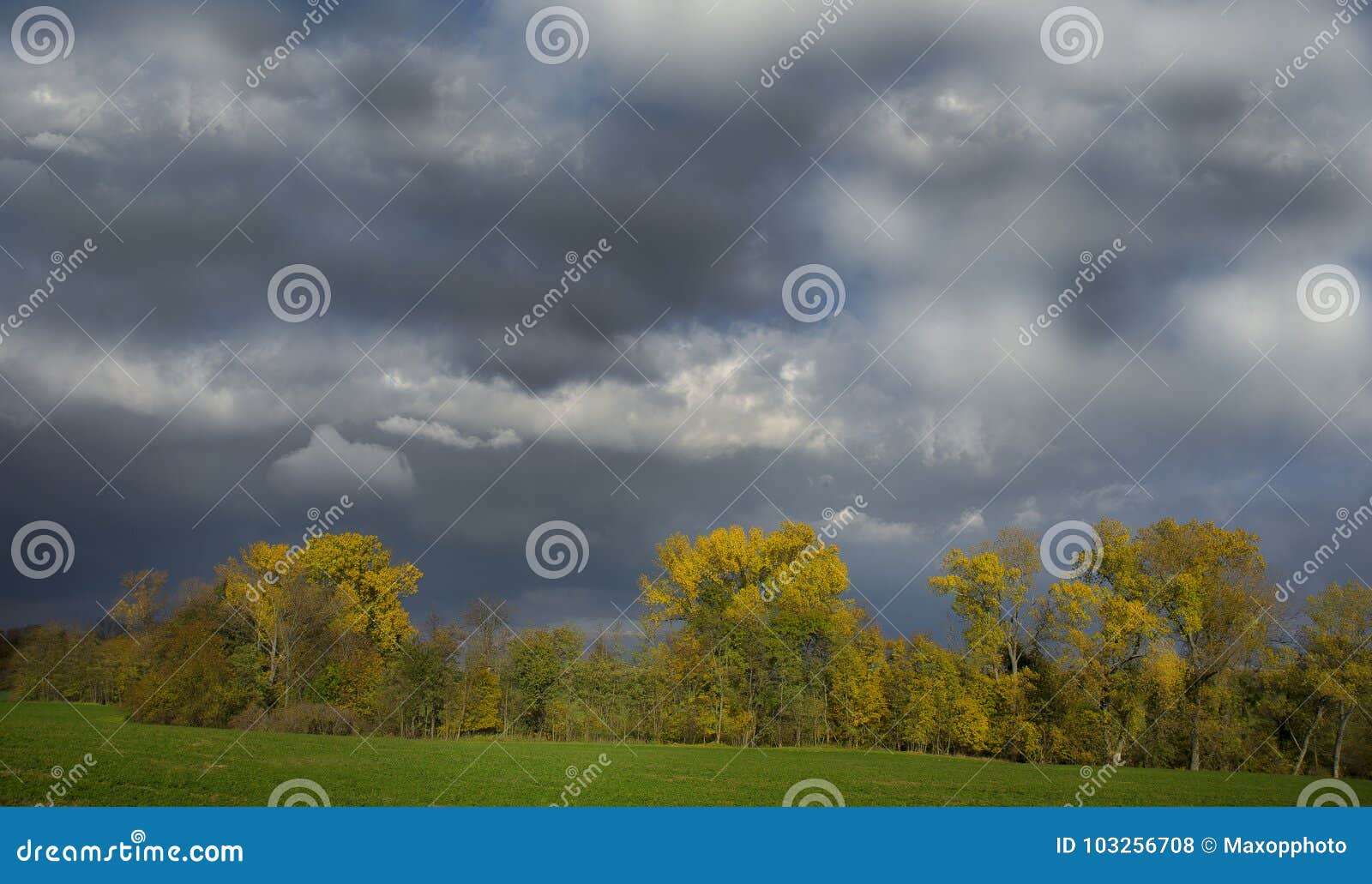 Stormy Dark Clouds Over the Trees and Field. the Fall Scene. Stock ...