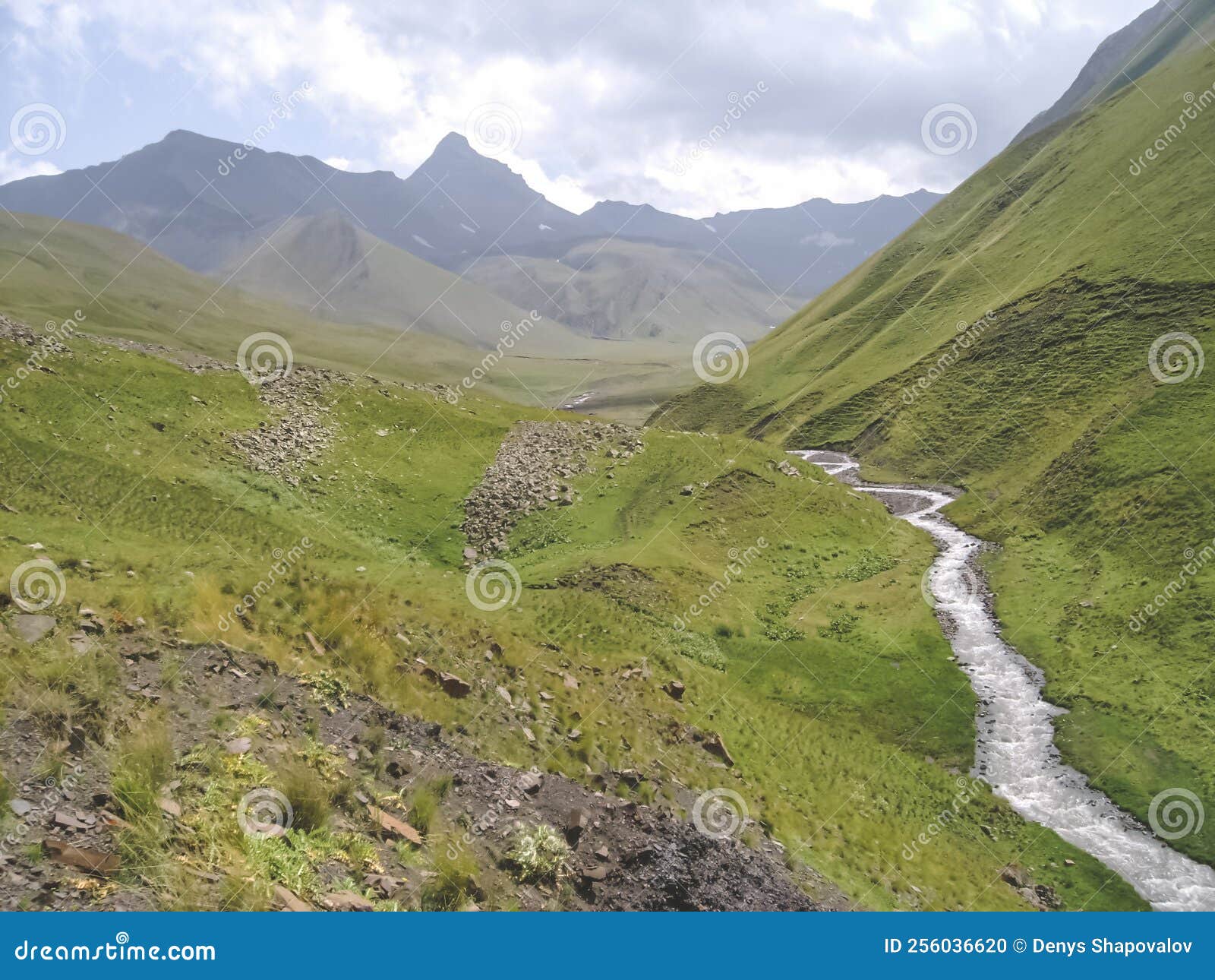 A Mountain River Flows between the Ridges of the Caucasian Mountain ...