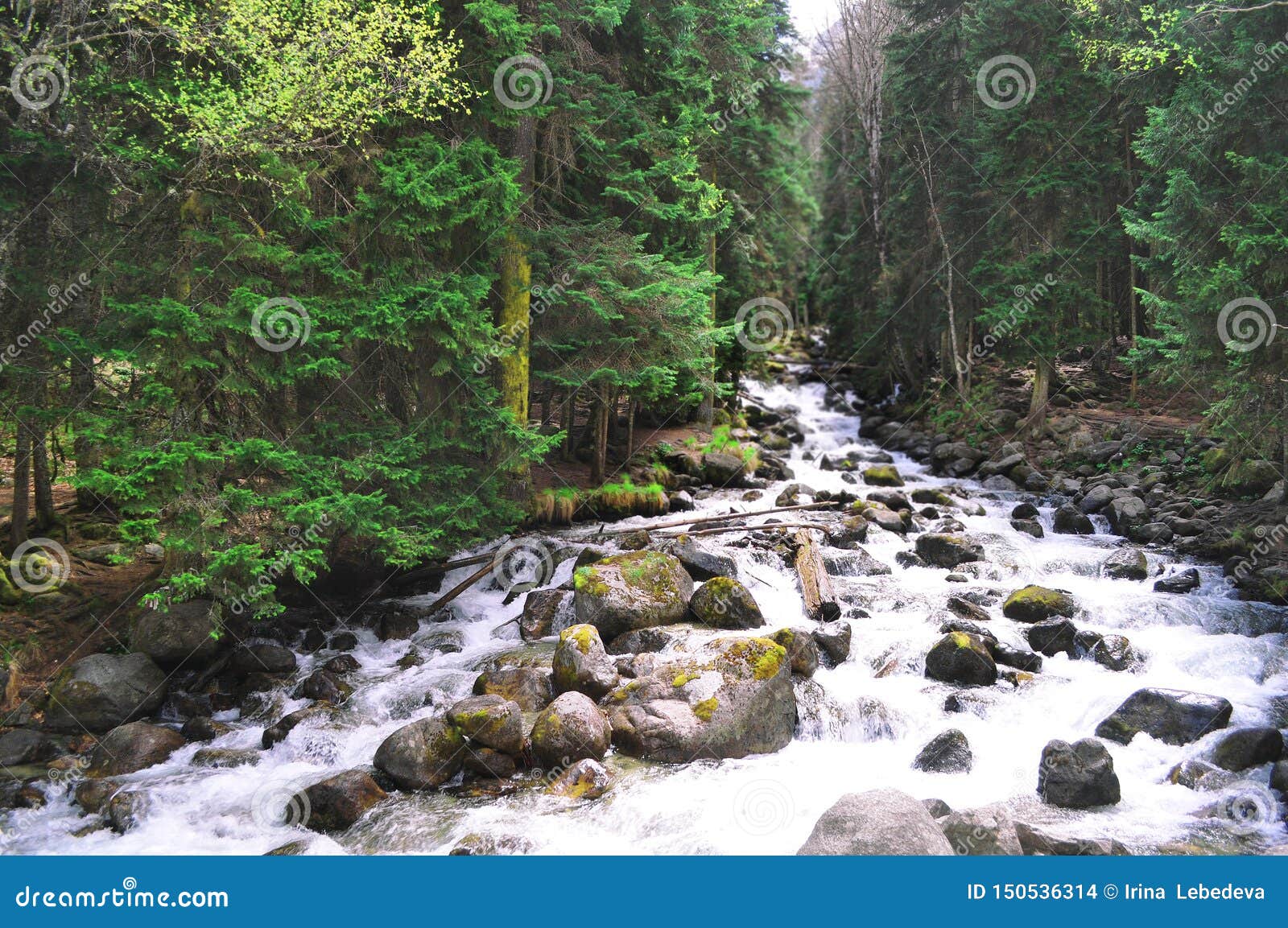 Stormy Mountain River with Rocks on the Shore Stock Photo - Image of ...
