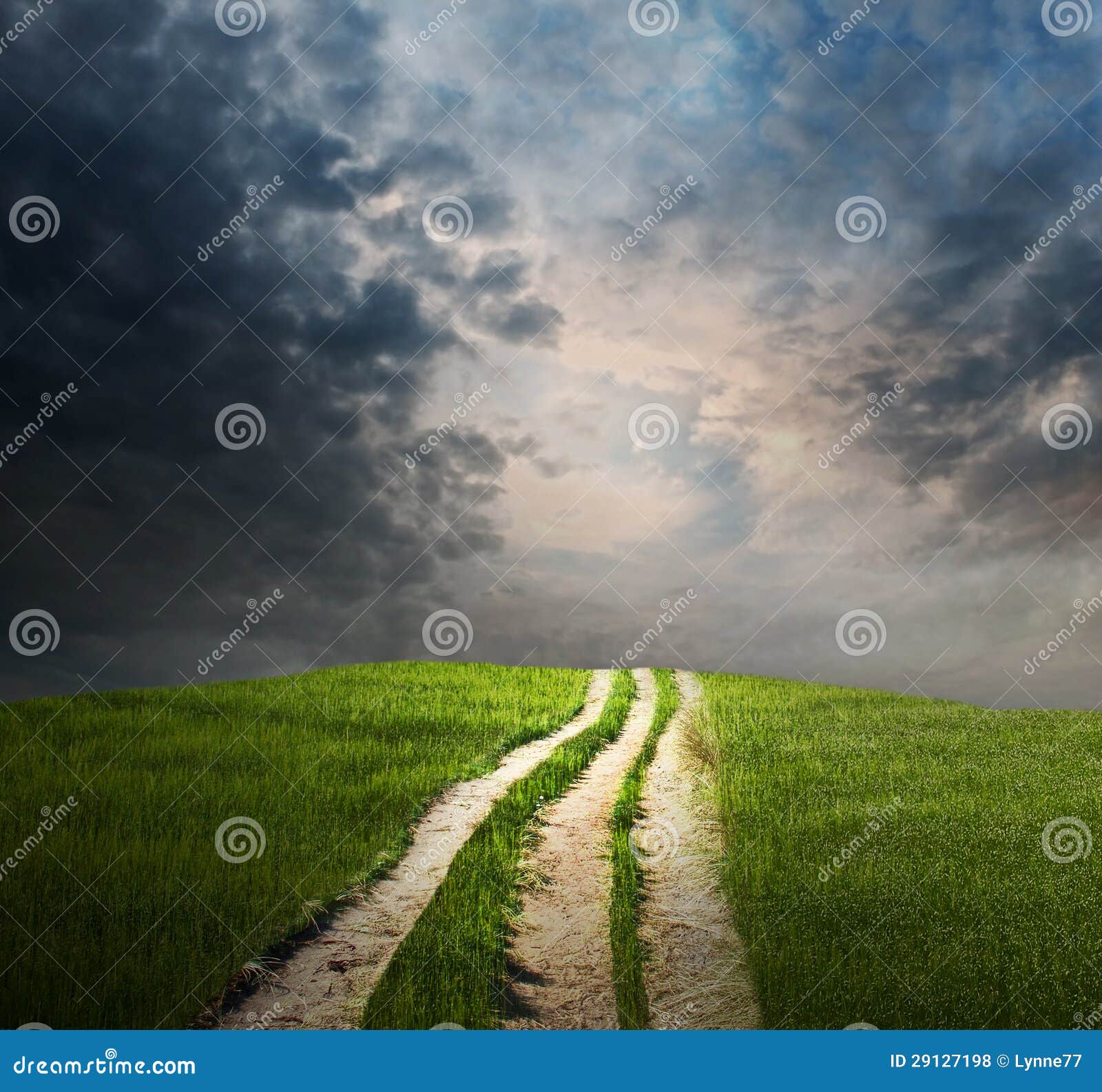Stormy Pathway stock photo. Image of lush, life, journey - 29127198