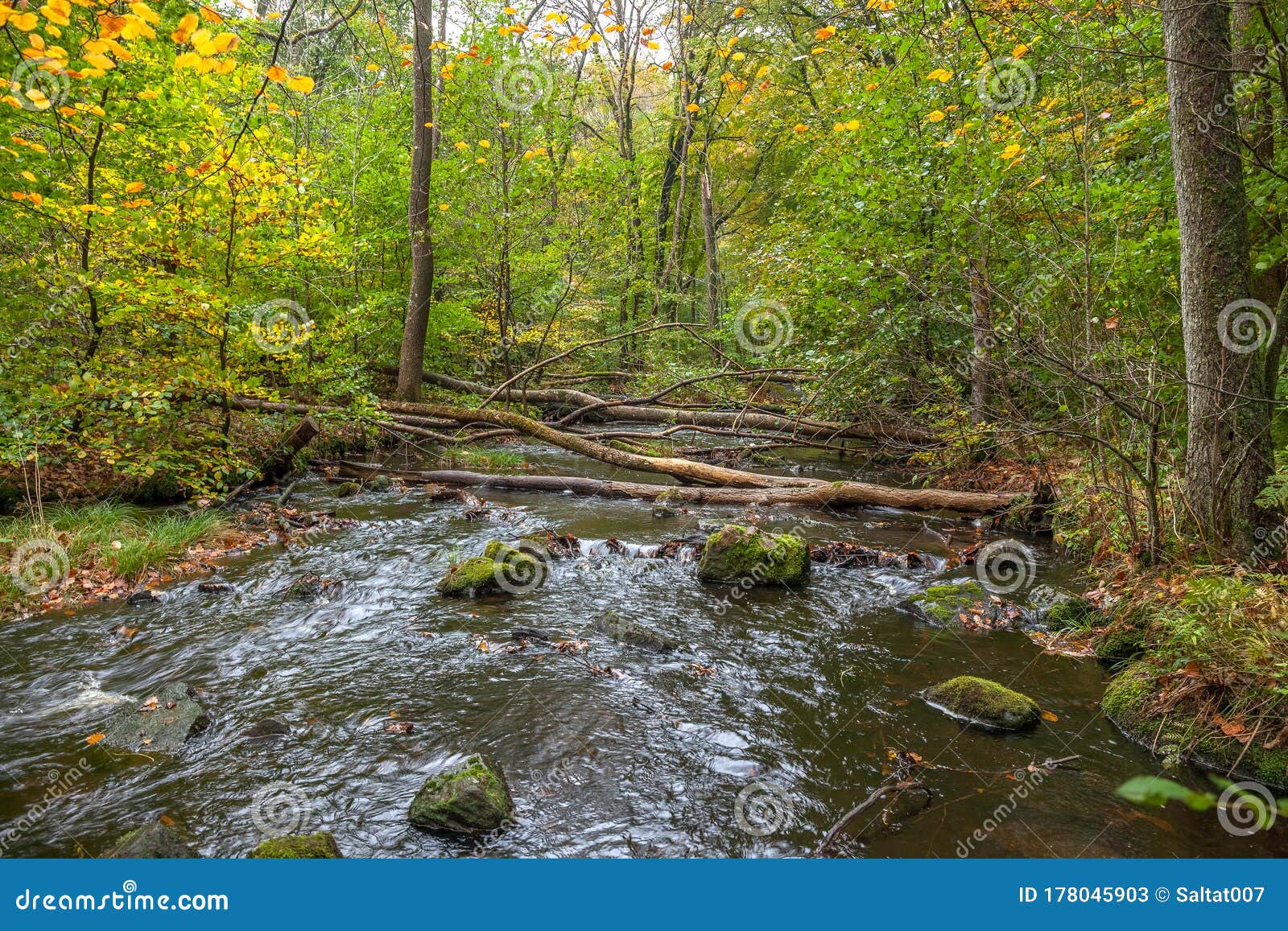 Stormy River Flowing through the Spring Forest.selective Focus, Long ...
