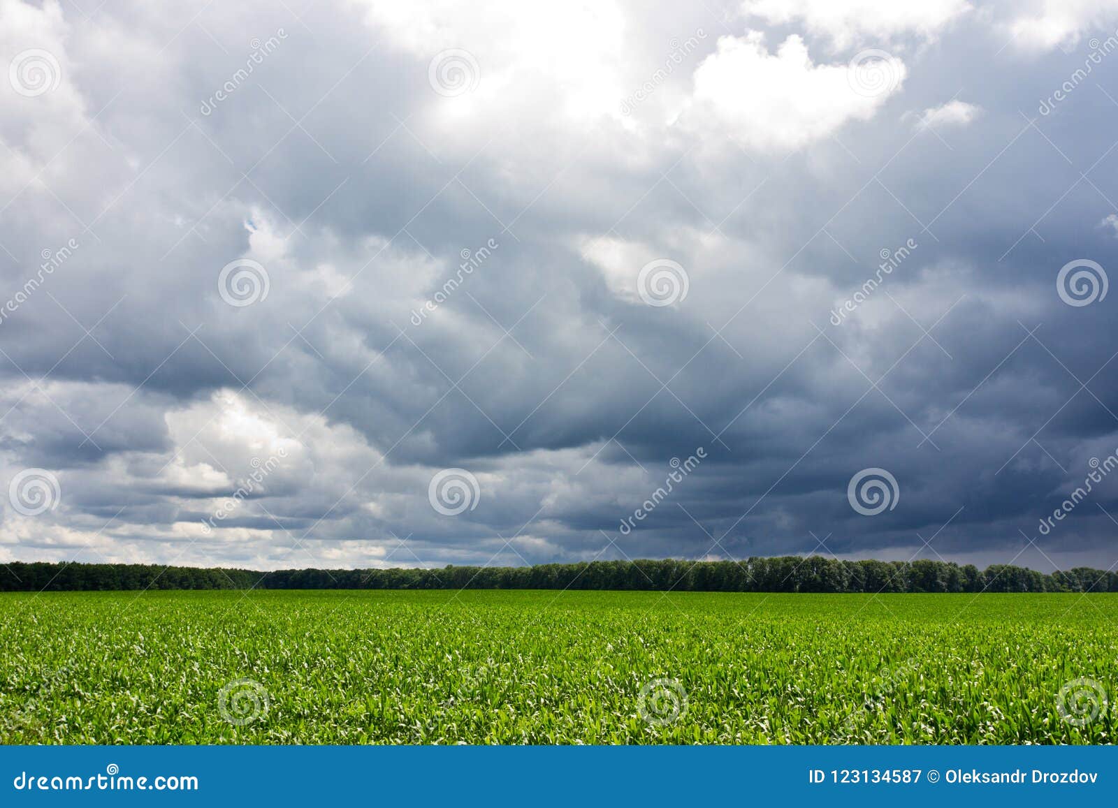 Stormy sky and field stock image. Image of outdoor, concept - 123134587