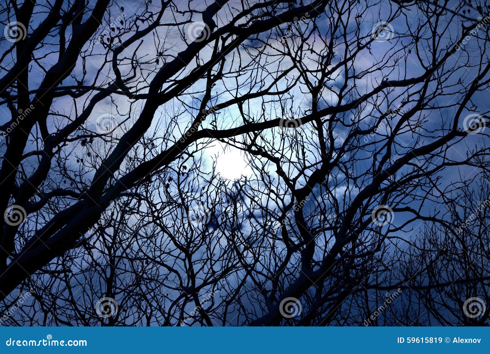 Stormy Sky and the Full Moon Seen through the Bare Branches of T Stock ...