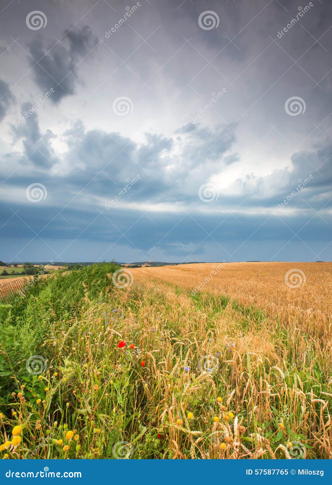 Stormy sky over field stock image. Image of heavy, land - 57587765