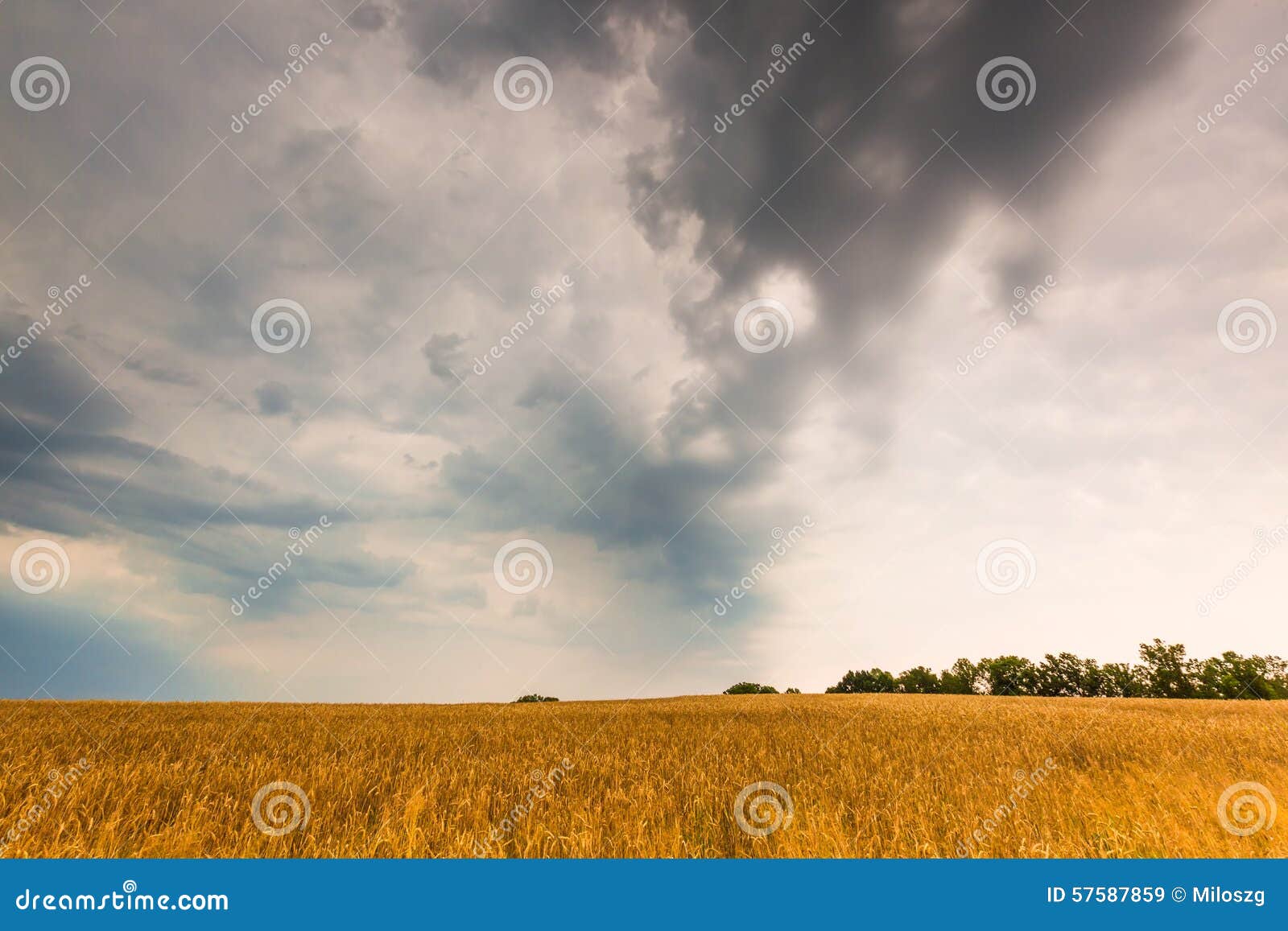 Stormy sky over field stock image. Image of grass, danger - 57587859