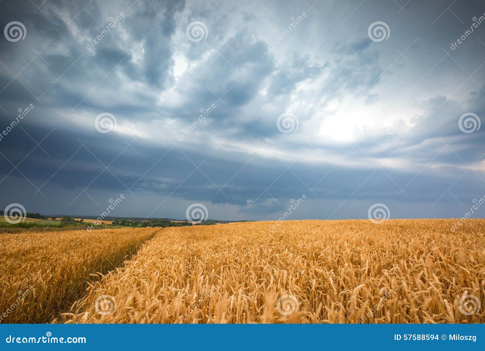 Stormy sky over field stock photo. Image of heavy, grass - 57588594