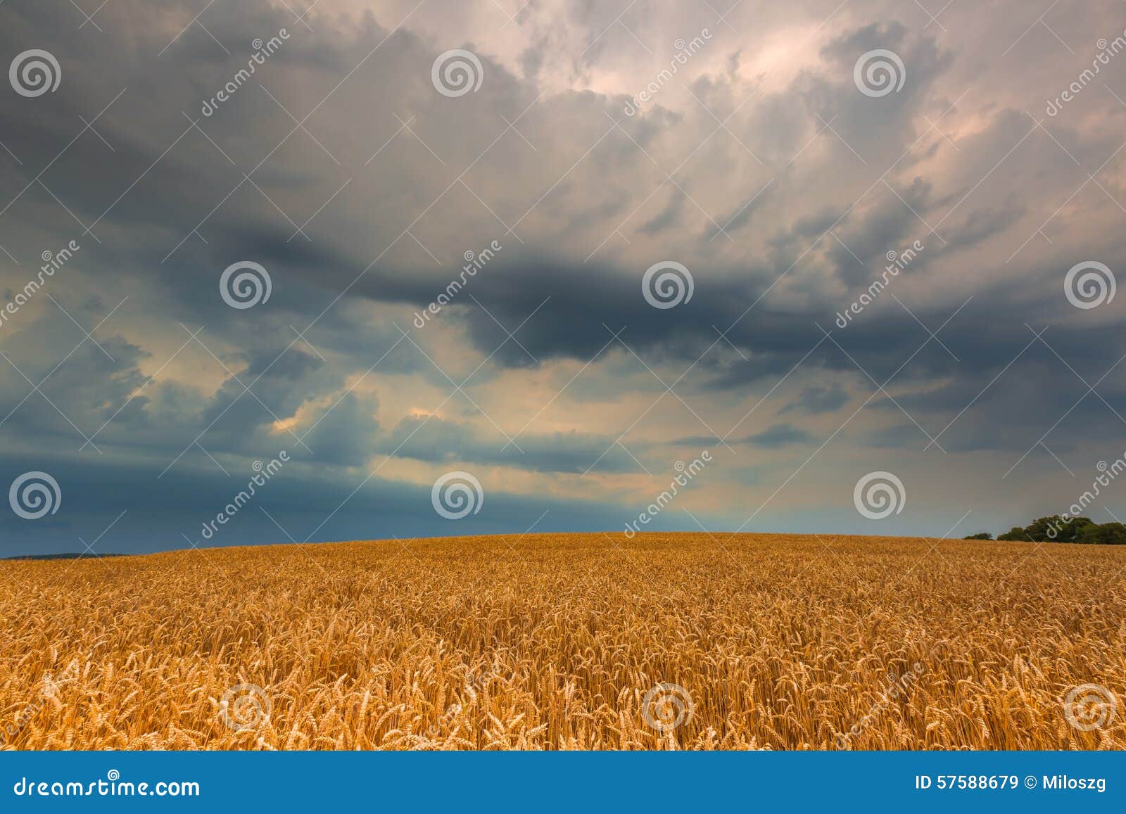 Stormy sky over field stock image. Image of natural, color - 57588679