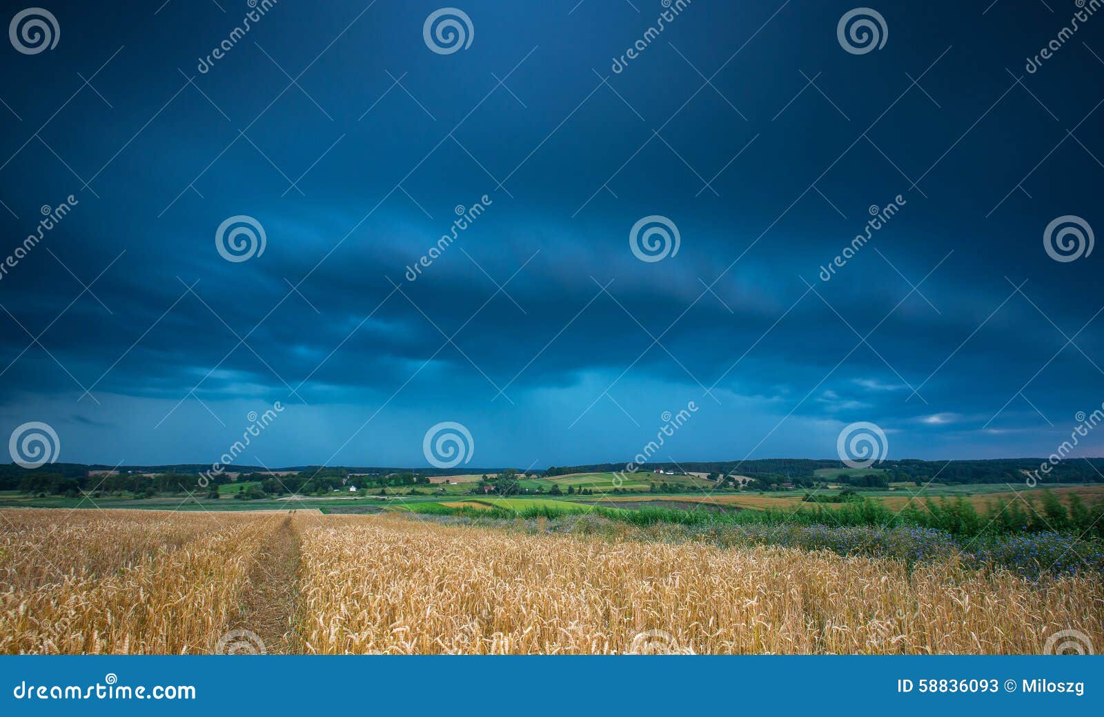 Stormy sky over field stock image. Image of heavy, light - 58836093