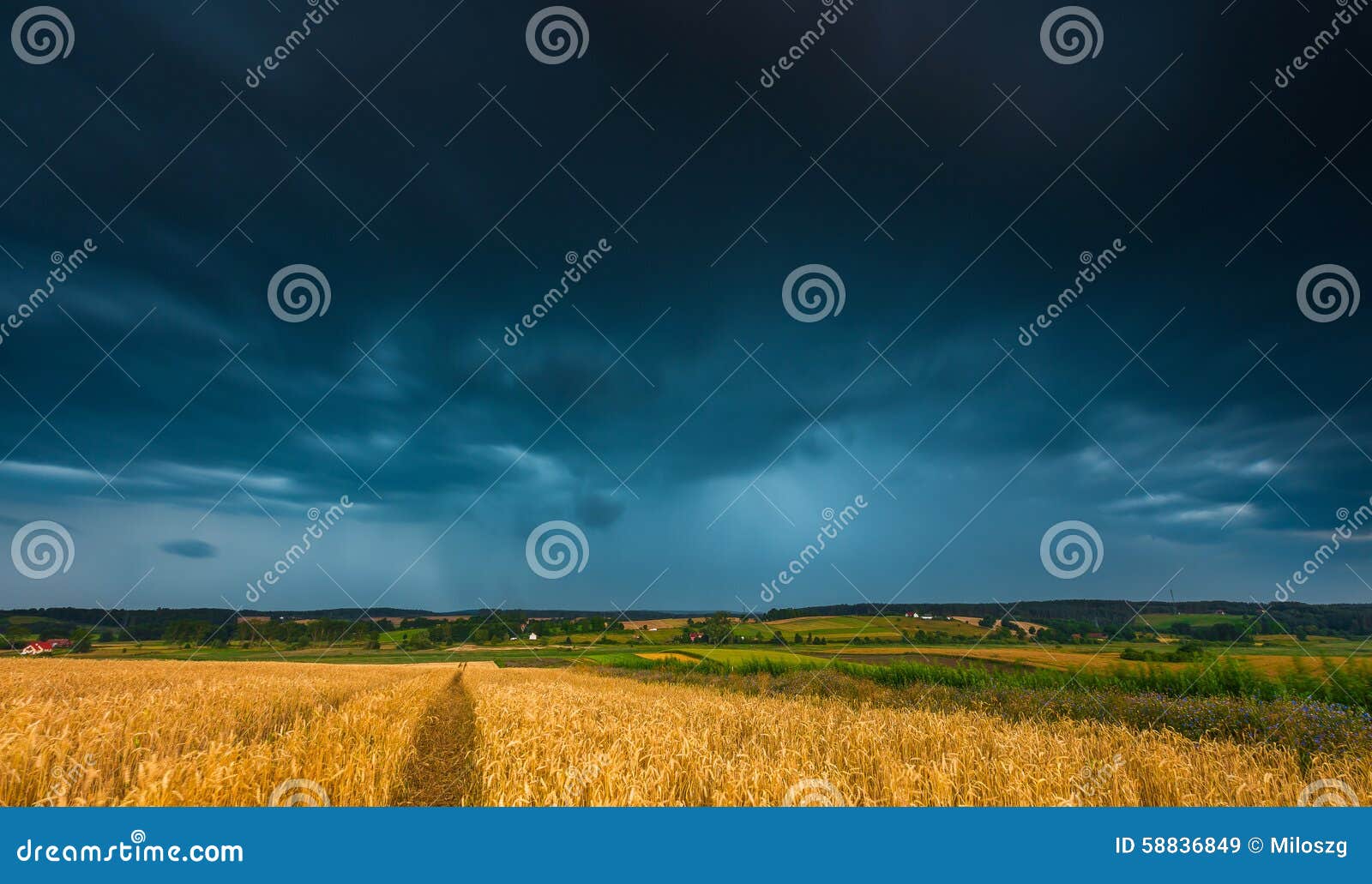 Stormy sky over field stock image. Image of scene, beautiful - 58836849