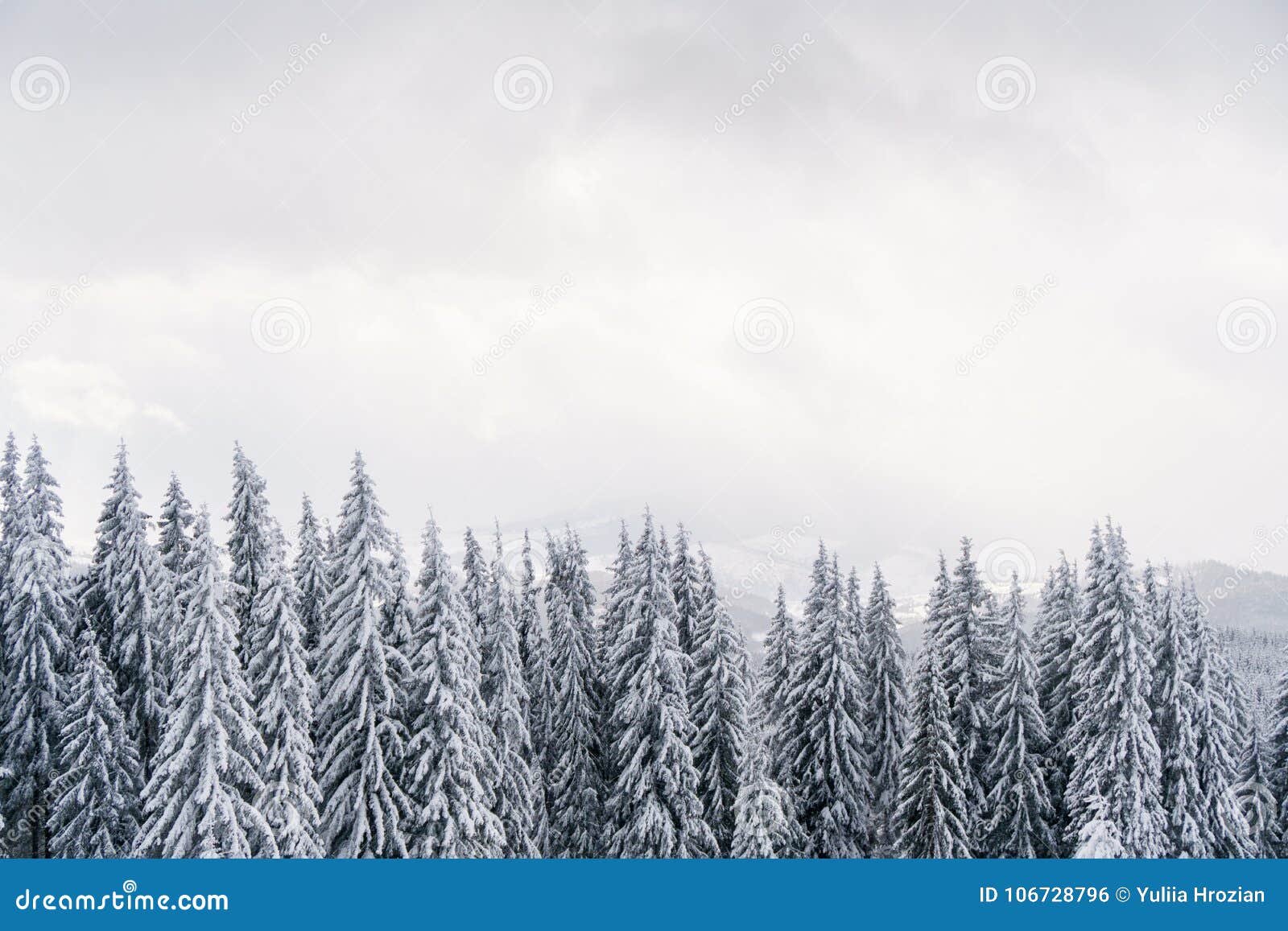Stormy Sky and Snowy Forest Landscape in Mountains. Stock Photo - Image ...
