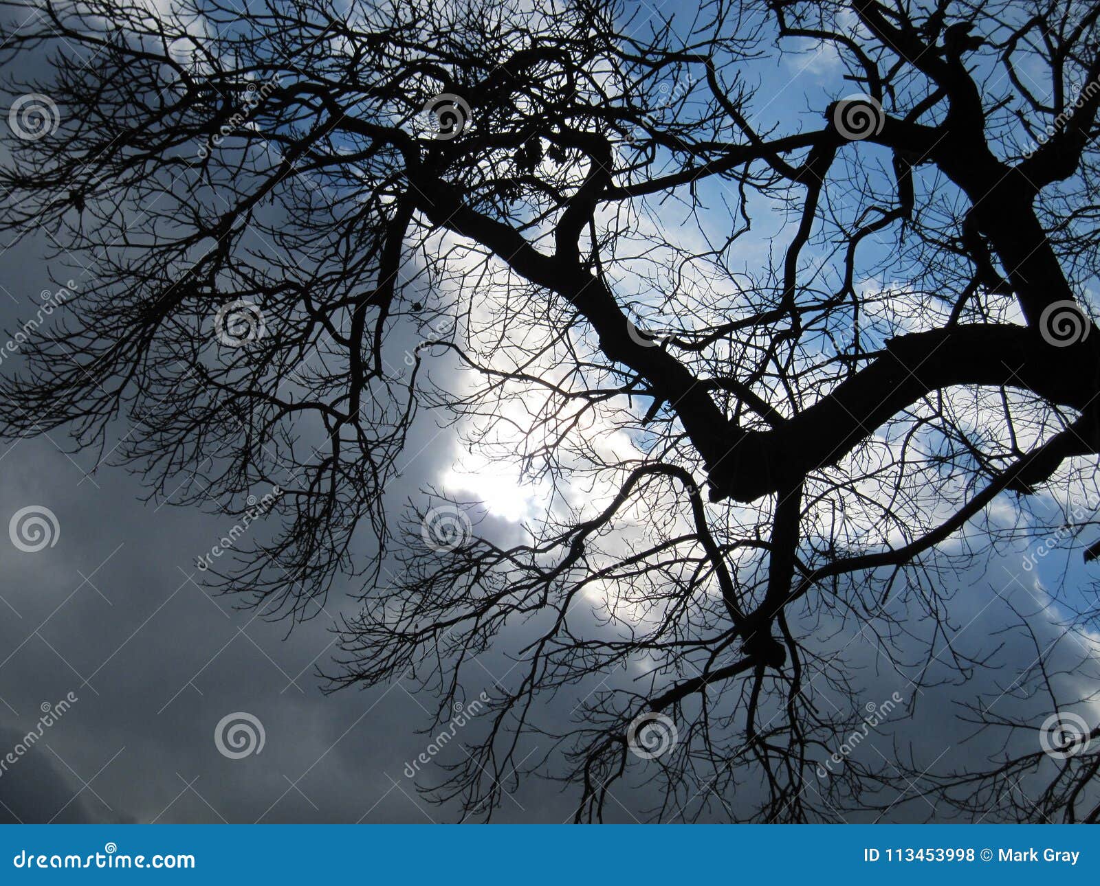Stormy Sky stock photo. Image of clouds, stormy, tree - 113453998