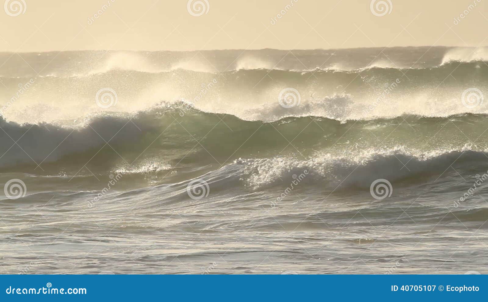 Strong Winds Stock Footage & Videos - 998 Stock Videos