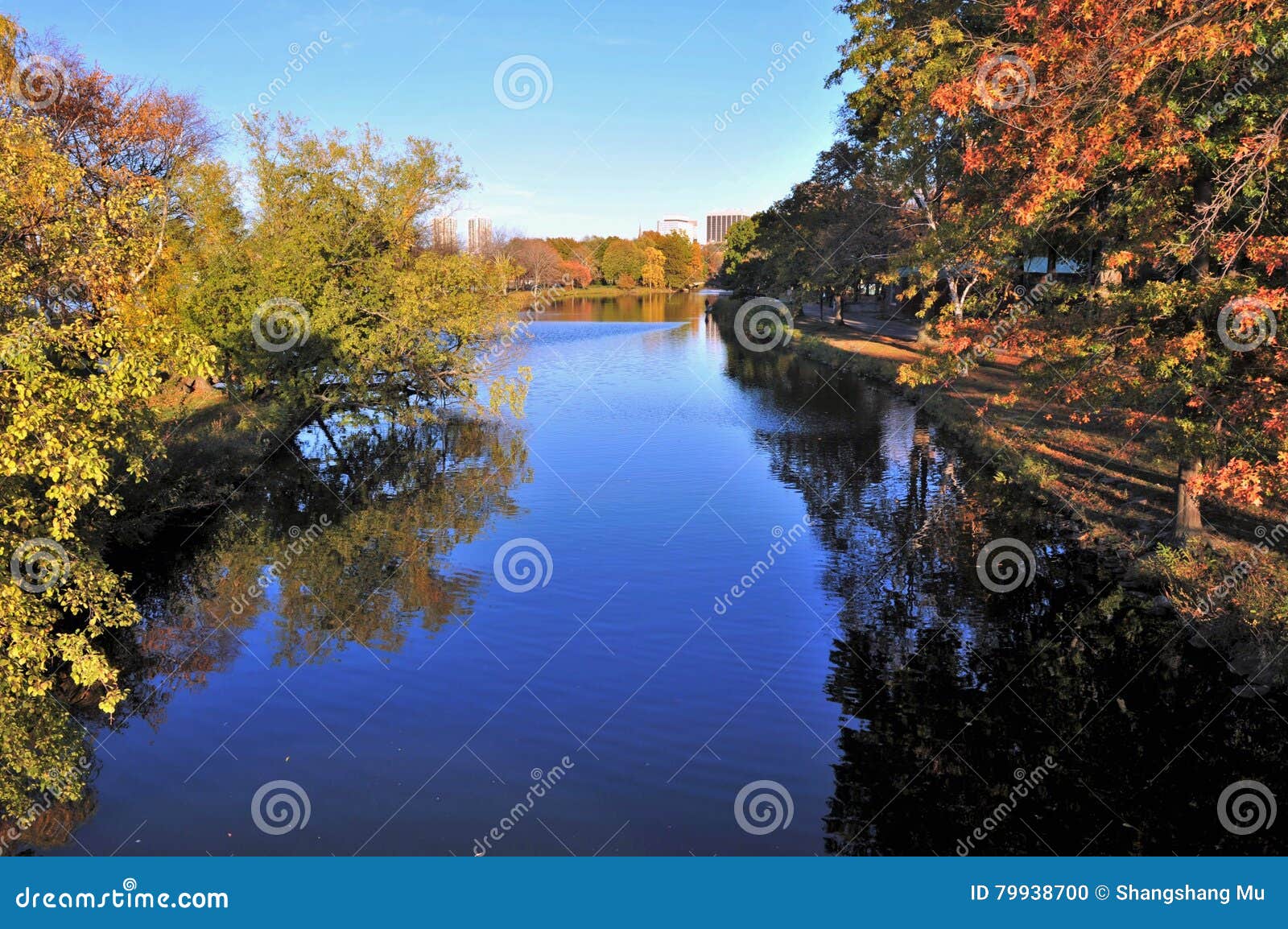 Storrow Lagoon stock photo. Image of boston, building - 79938700