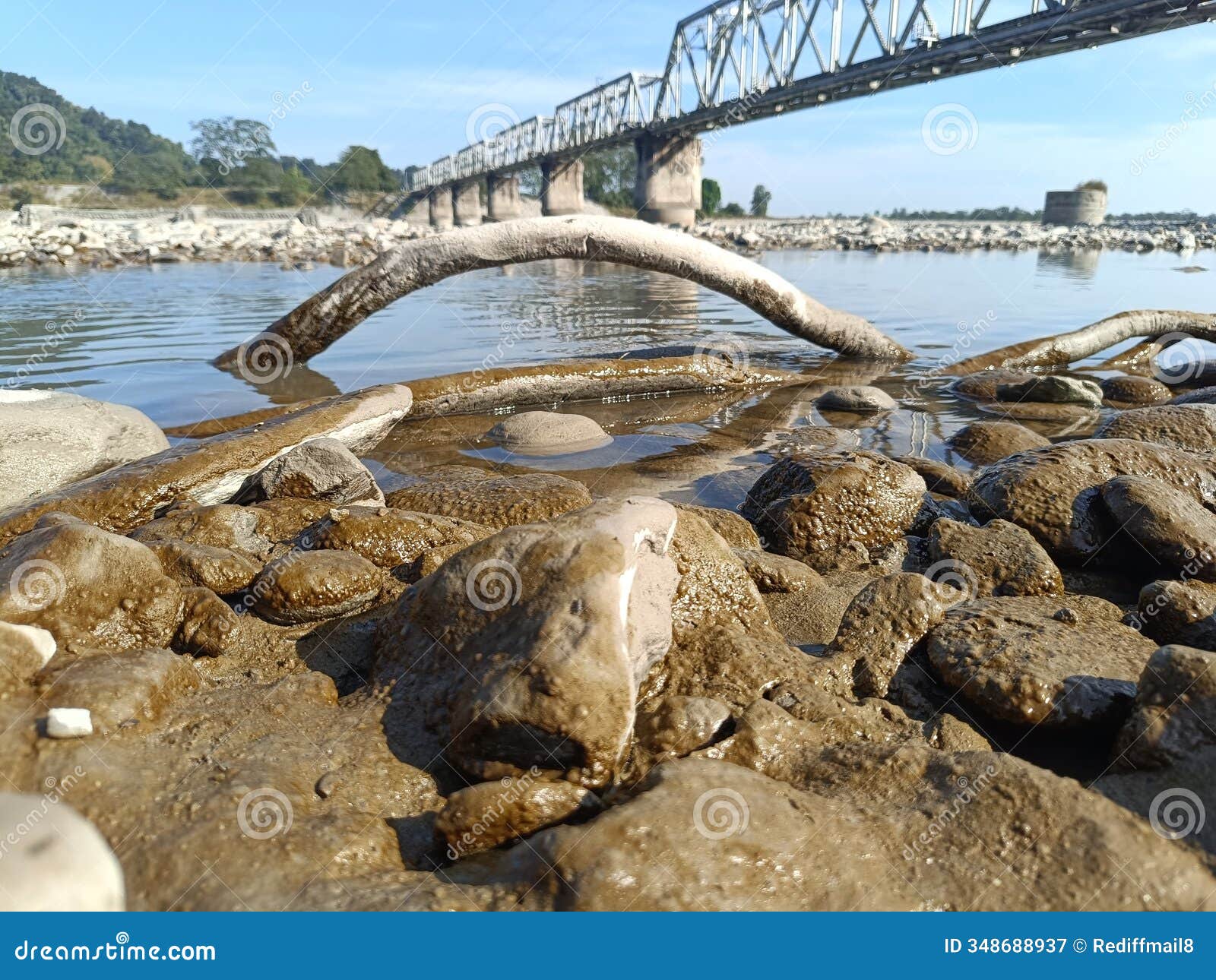 Story of a Dead Tree in the River Trying To Touch a Railway Bridge ...